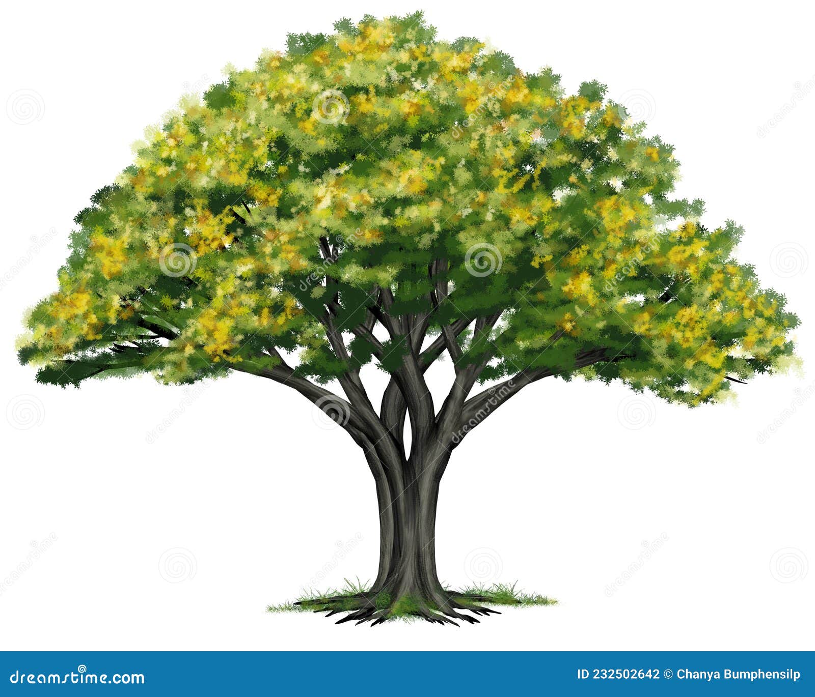 Tree Side View for Landscape View Stock Photo - Image of tree, green ...