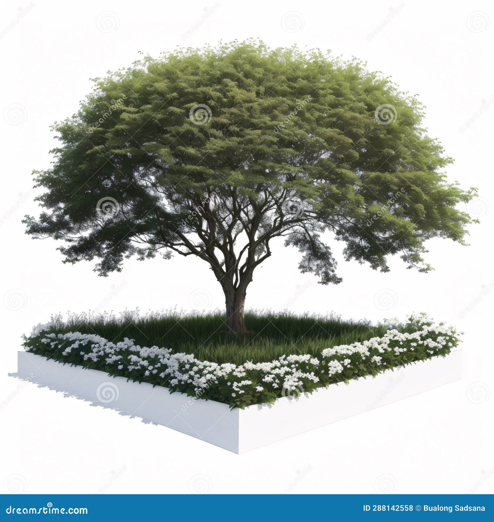 Tree Side View for Landscape and Architecture Drawing, Elements for ...