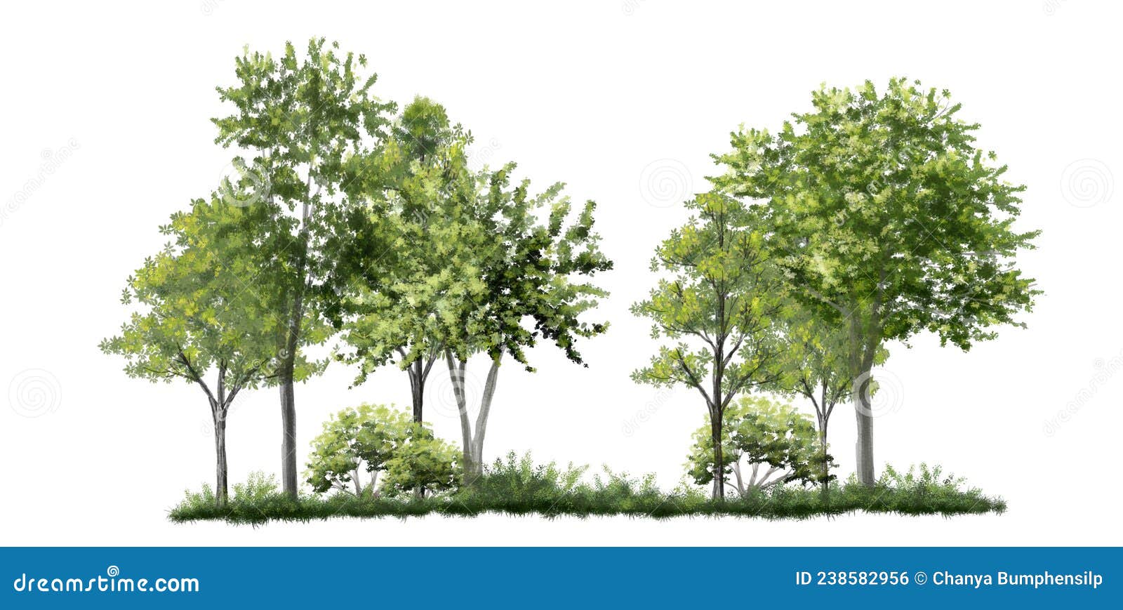 Tree Side View for Landscape Plan Stock Illustration - Illustration of ...