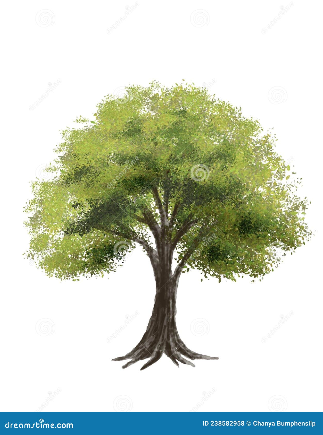 Tree Side View for Landscape Plan Stock Illustration - Illustration of ...