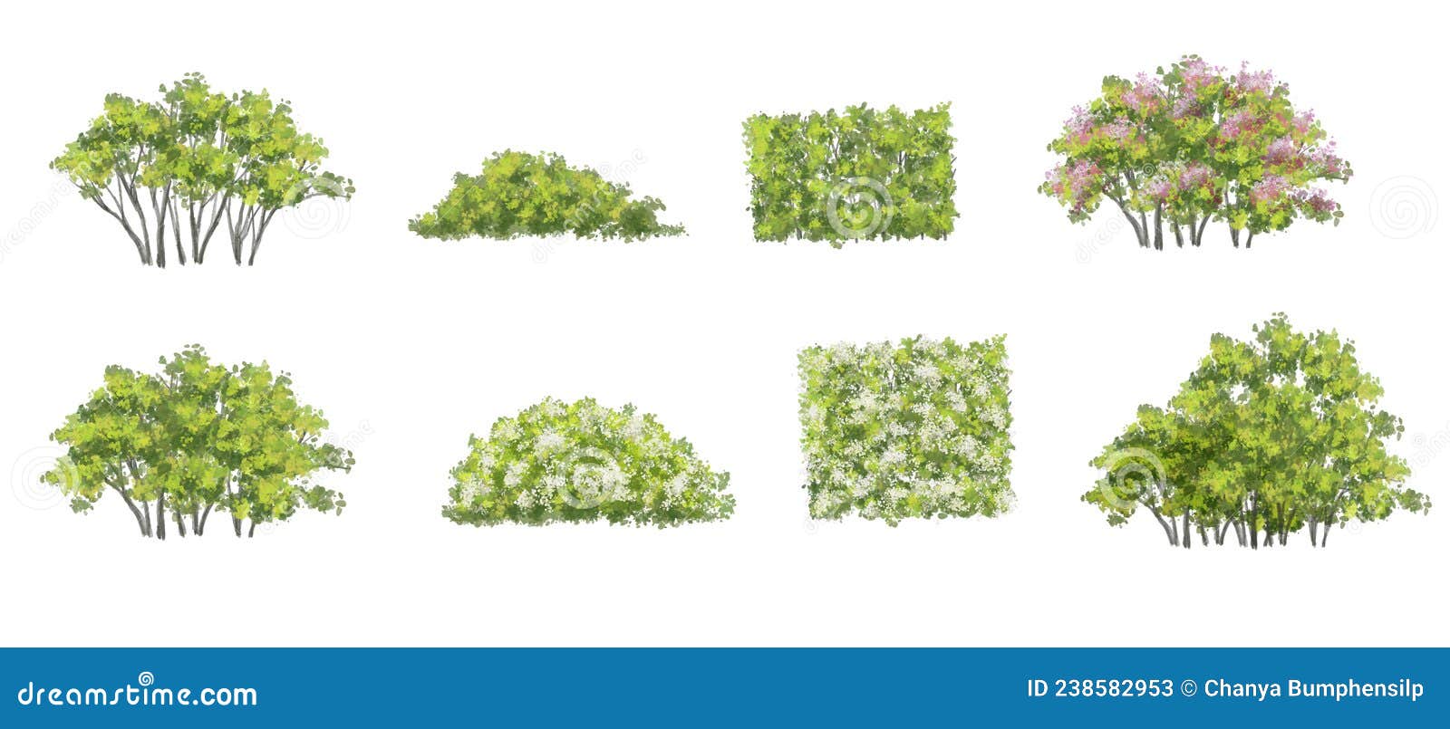 Tree Side View for Landscape Plan Stock Illustration - Illustration of ...