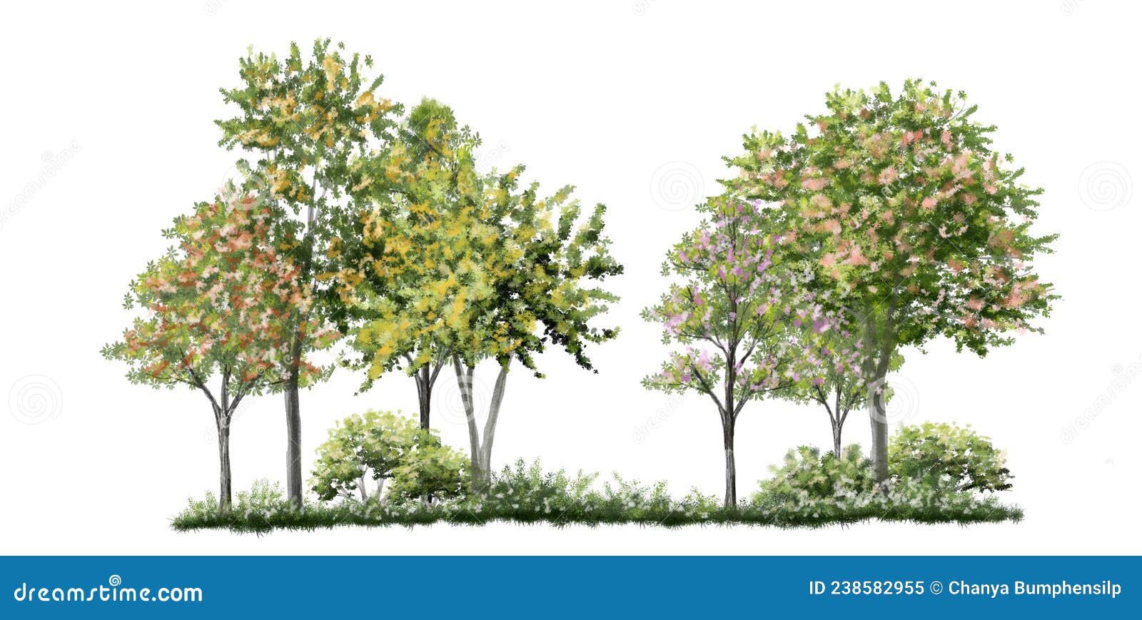 Tree Side View for Landscape Plan Stock Illustration - Illustration of ...