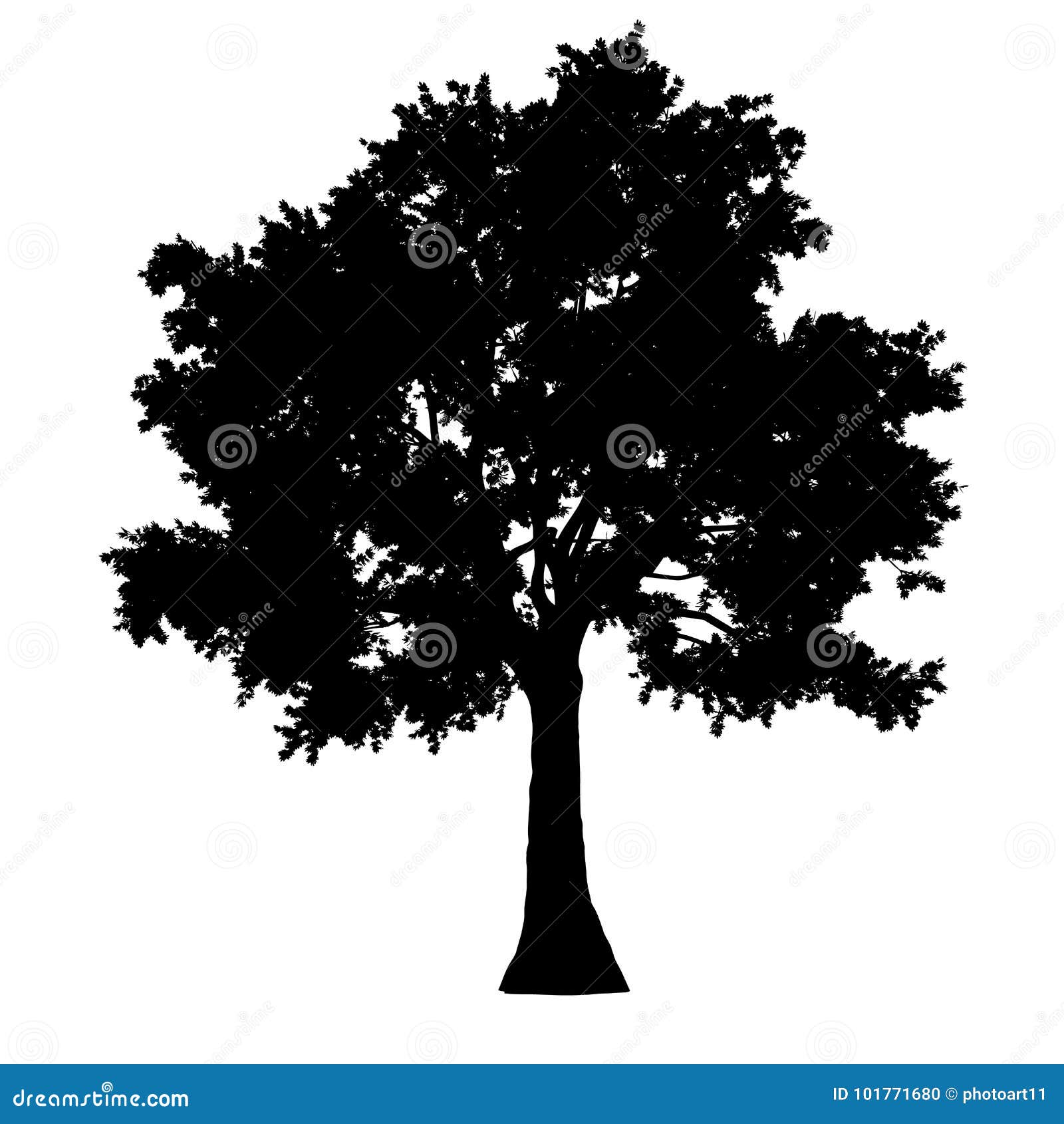 Tree Side View Silhouette Isolated - Black - Vector Stock Vector ...