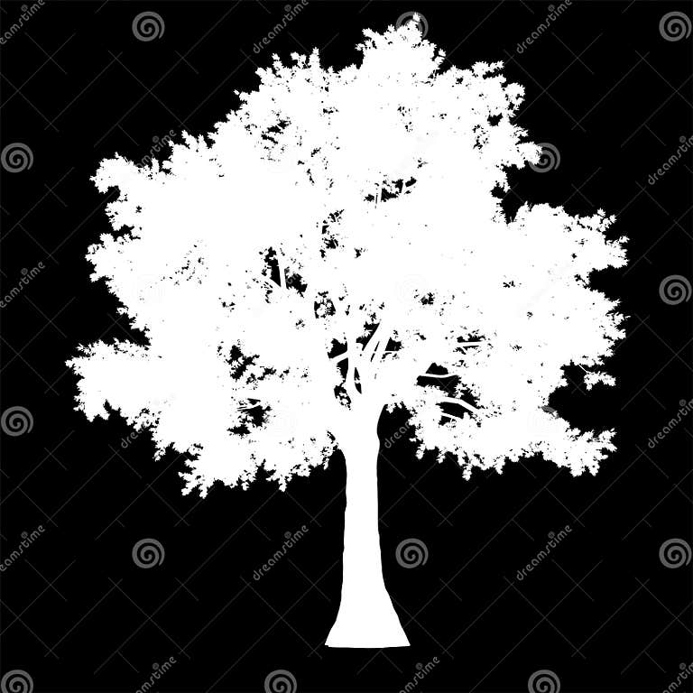 Tree Side View Silhouette Isolated - White - Vector Stock Vector ...