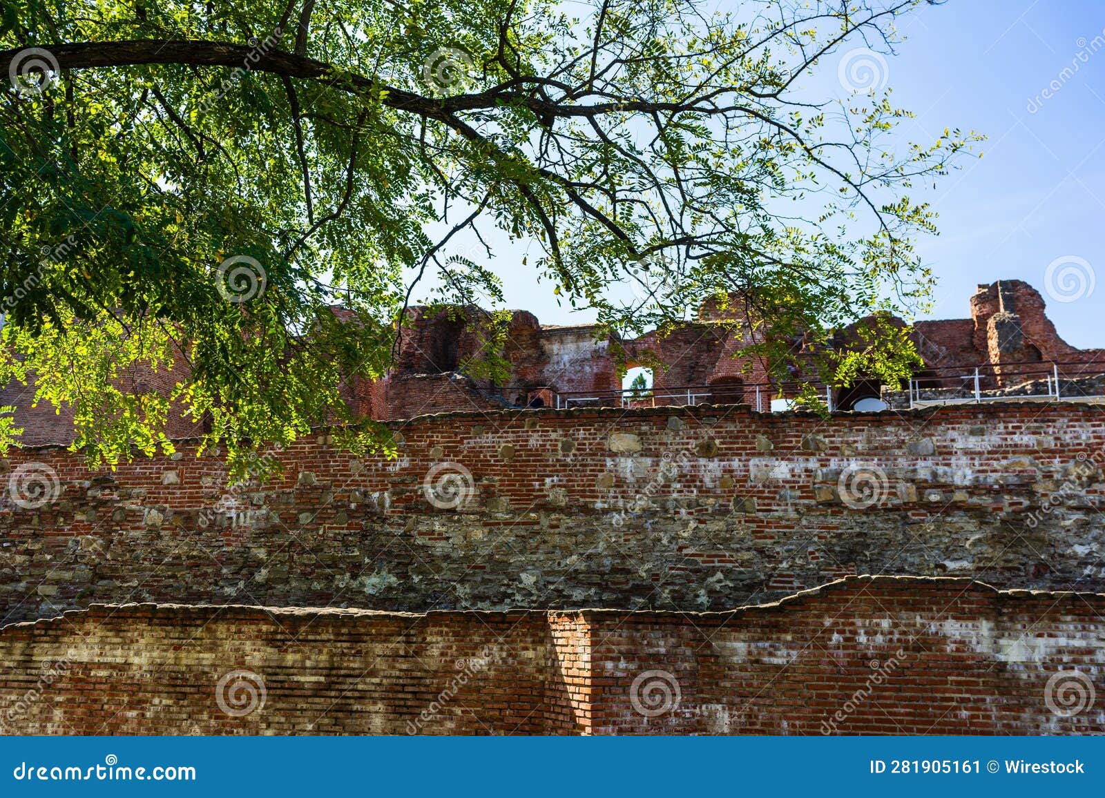 A Tree that is on the Side of a Wall and Has Bricks Stock Image - Image ...