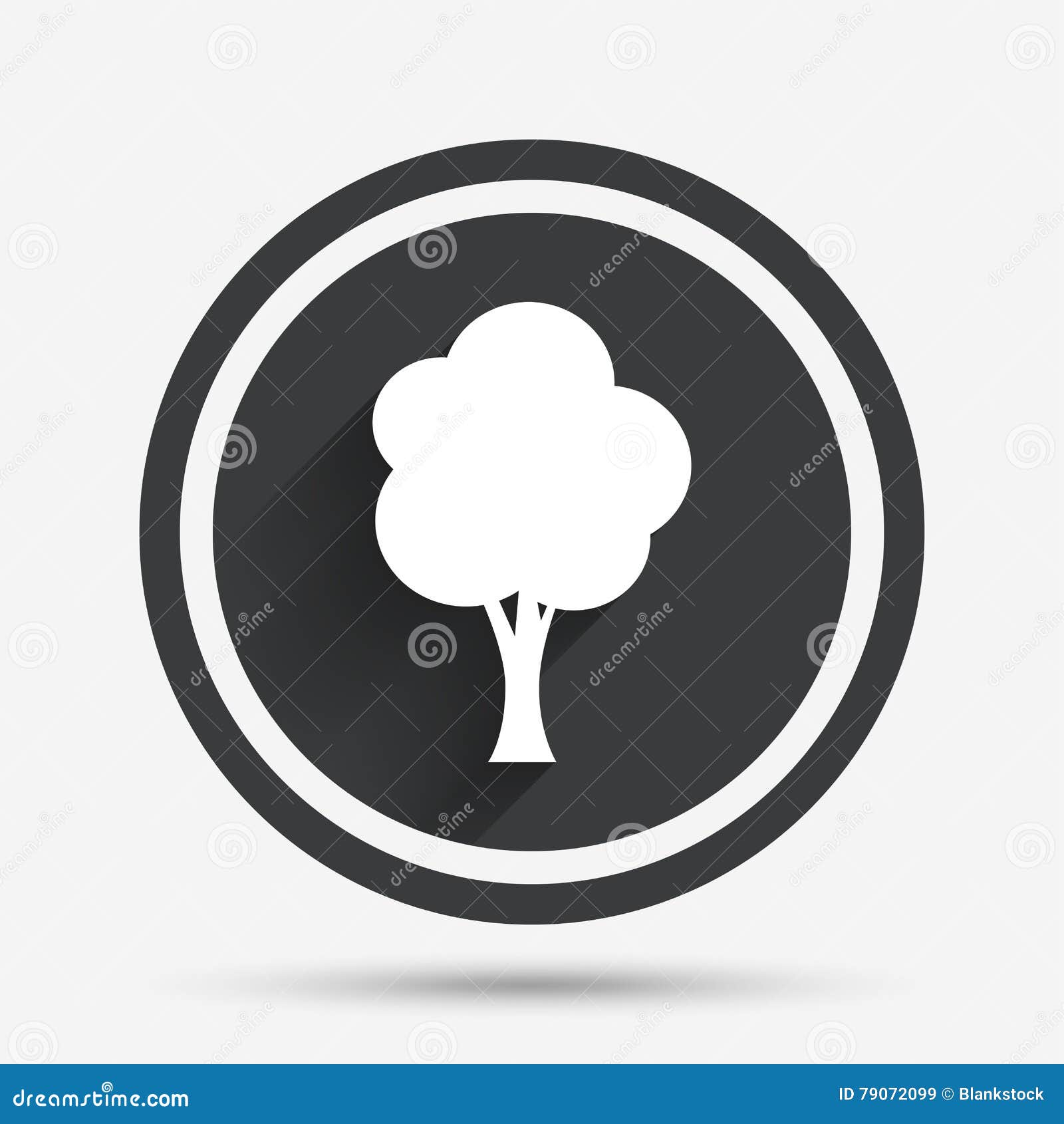 Tree Sign Icon. Forest Symbol Stock Vector - Illustration of park ...