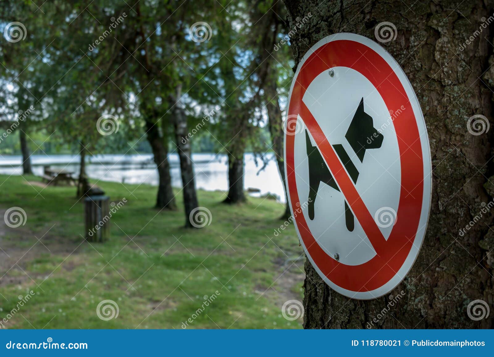 Tree, Sign, Signage, Grass Picture. Image: 118780021