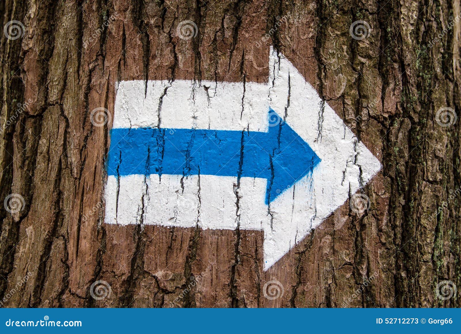 Tree signpost stock image. Image of arrow, signpost, direction - 52712273