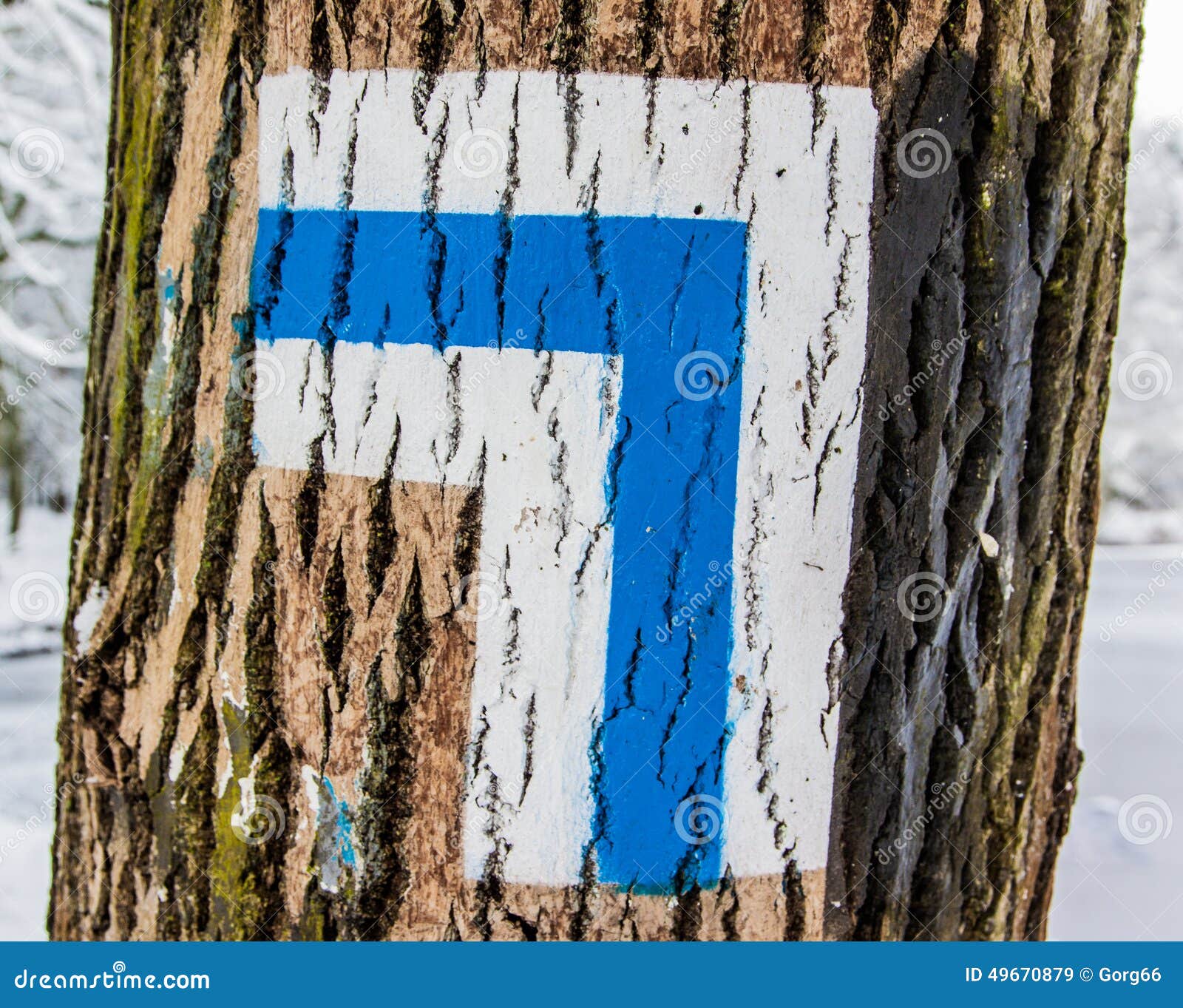 Tree direction signpost stock image. Image of ride, tree - 49670879