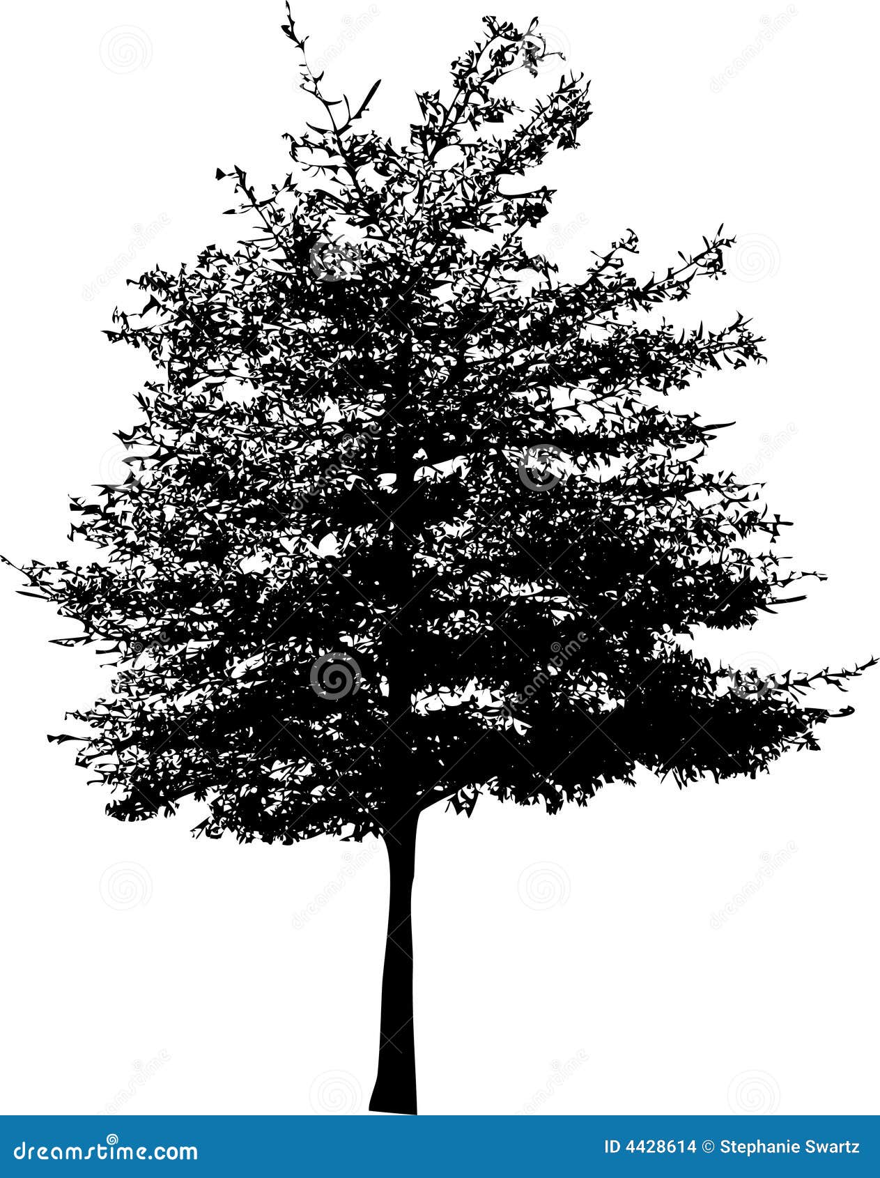 Tree silhouette stock illustration. Illustration of isolated - 4428614