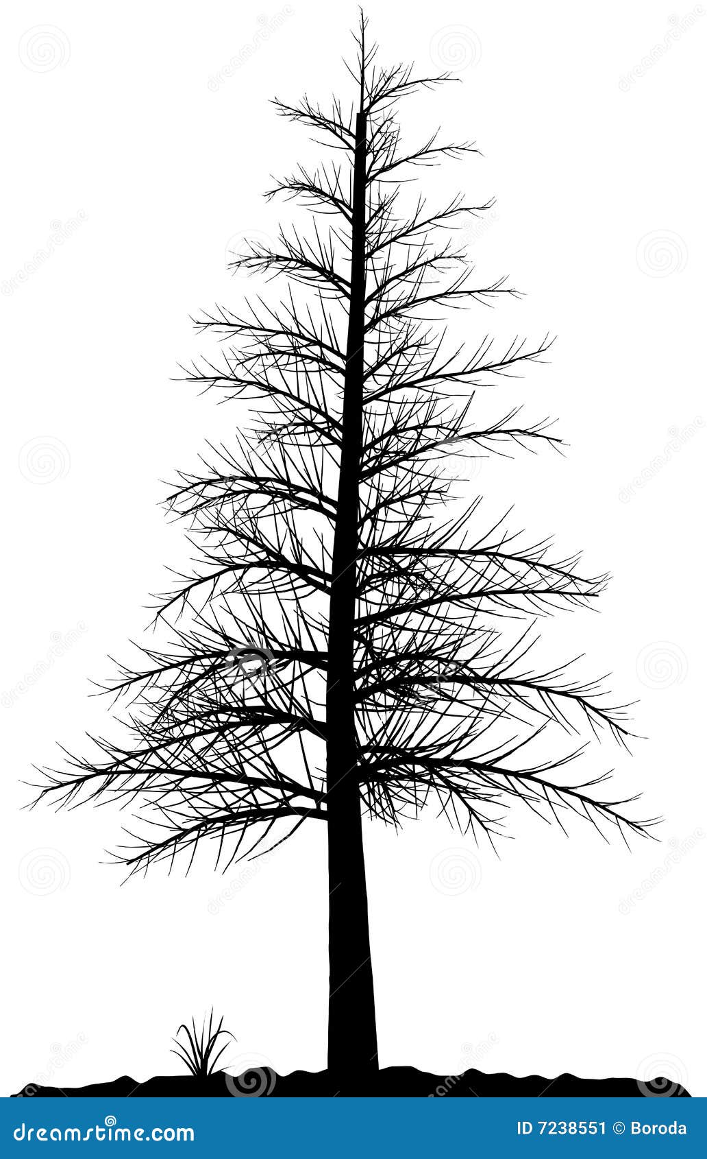 Dead Pine Tree Clip Art