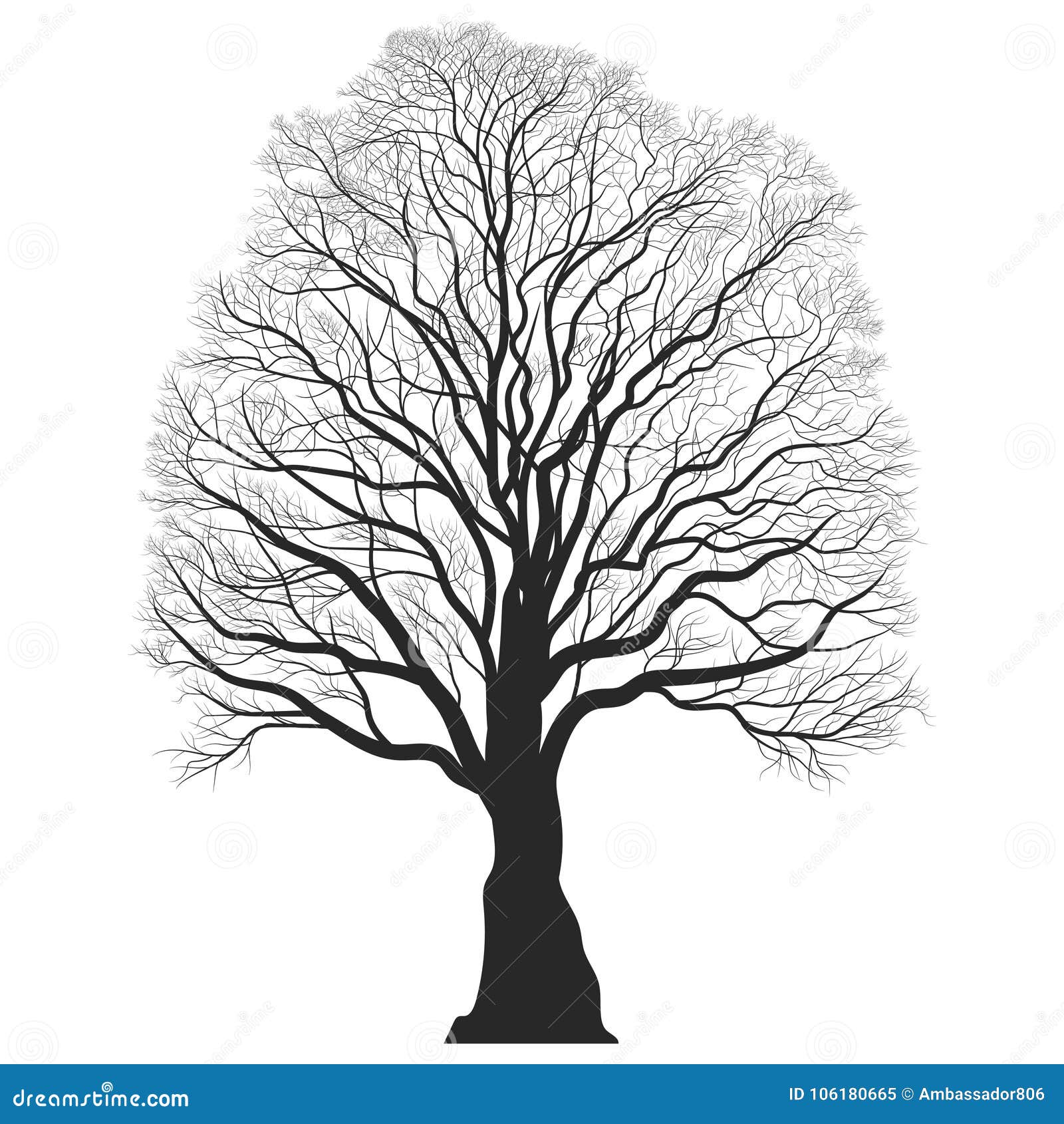 Tree Silhouette. Black Bare Oak Outline. Detailed Image. Cartoon Vector ...