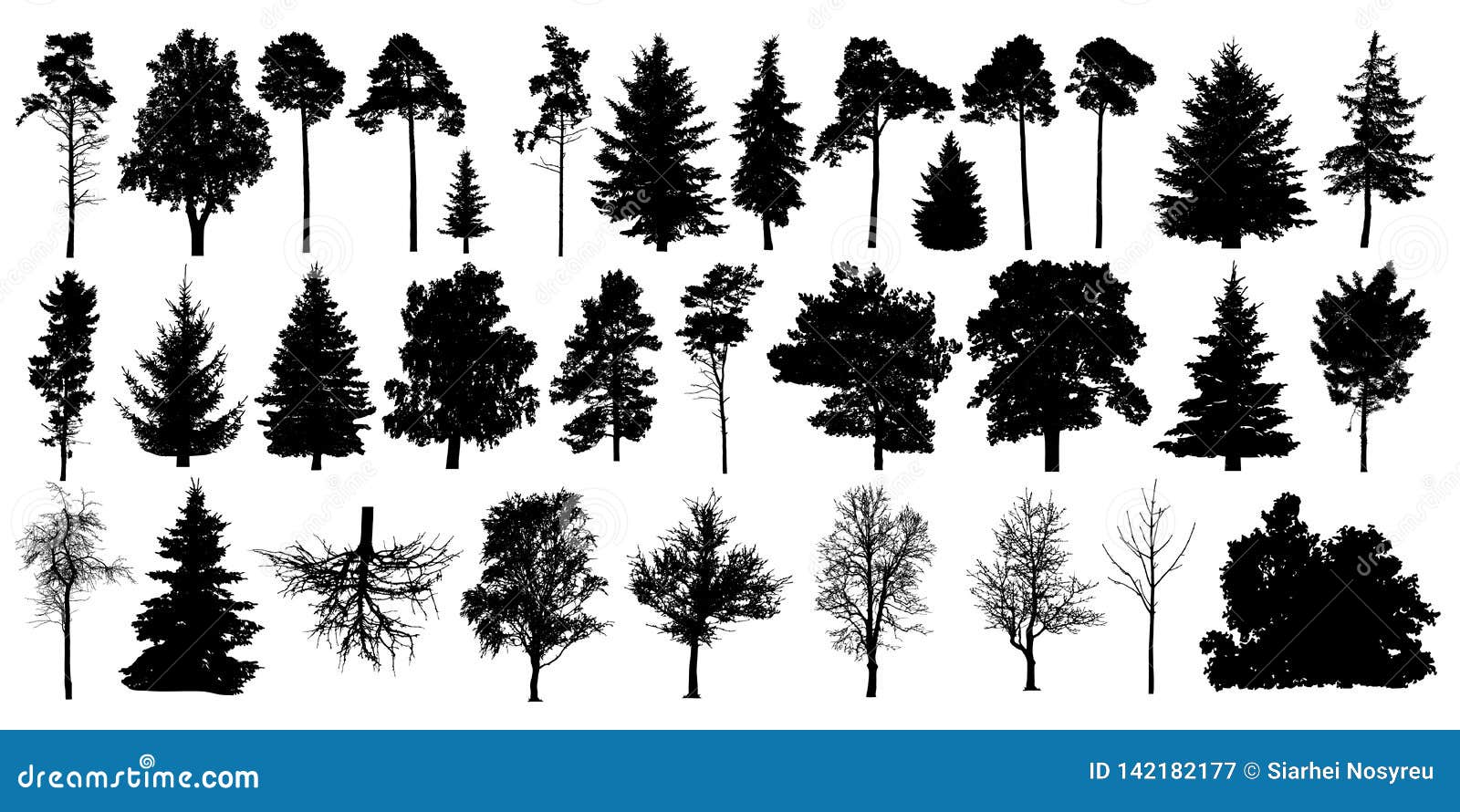 Tree Silhouette Black Vector. Isolated Set Forest Trees on White ...