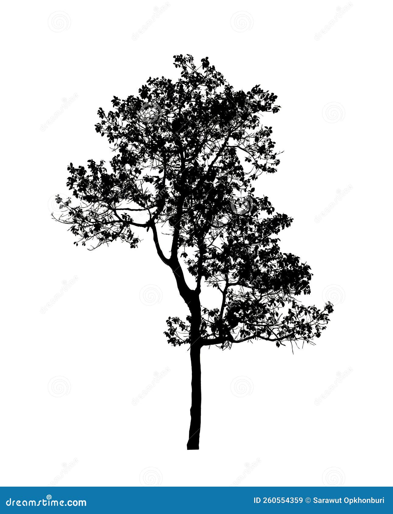 Isolated Tree Silhouette for Brush on White Background . Stock ...