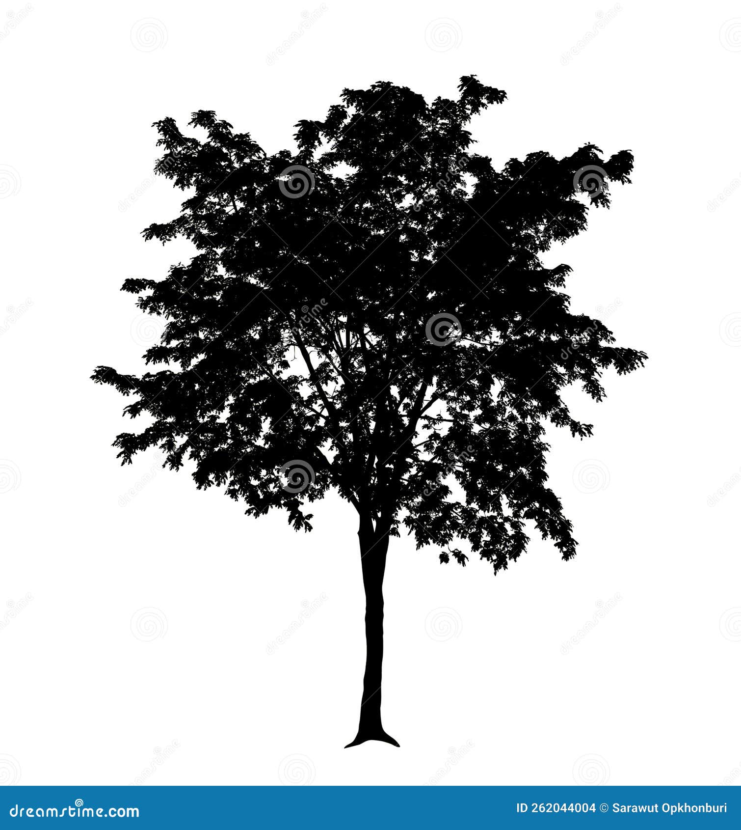 Tree Silhouette for Brush on White Background . Stock Illustration ...