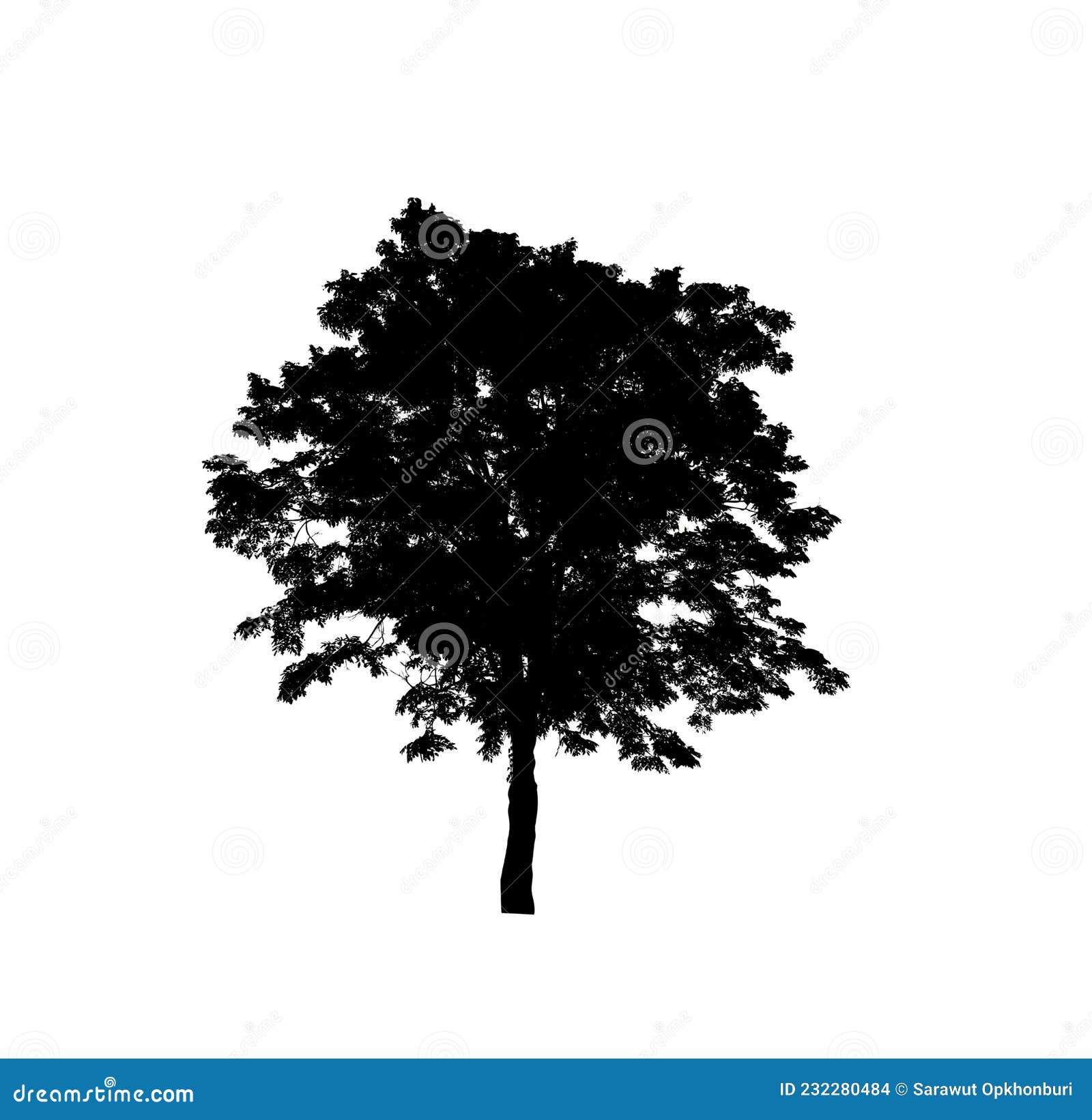 Tree Silhouettes Isolated on White Background . Stock Photo - Image of ...
