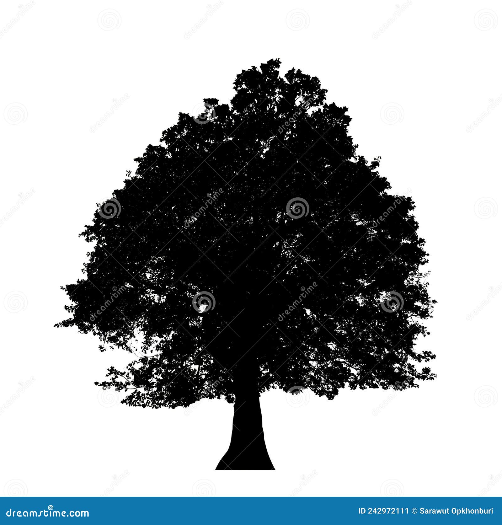 Tree Silhouettes Isolated on White Background . Stock Image - Image of ...