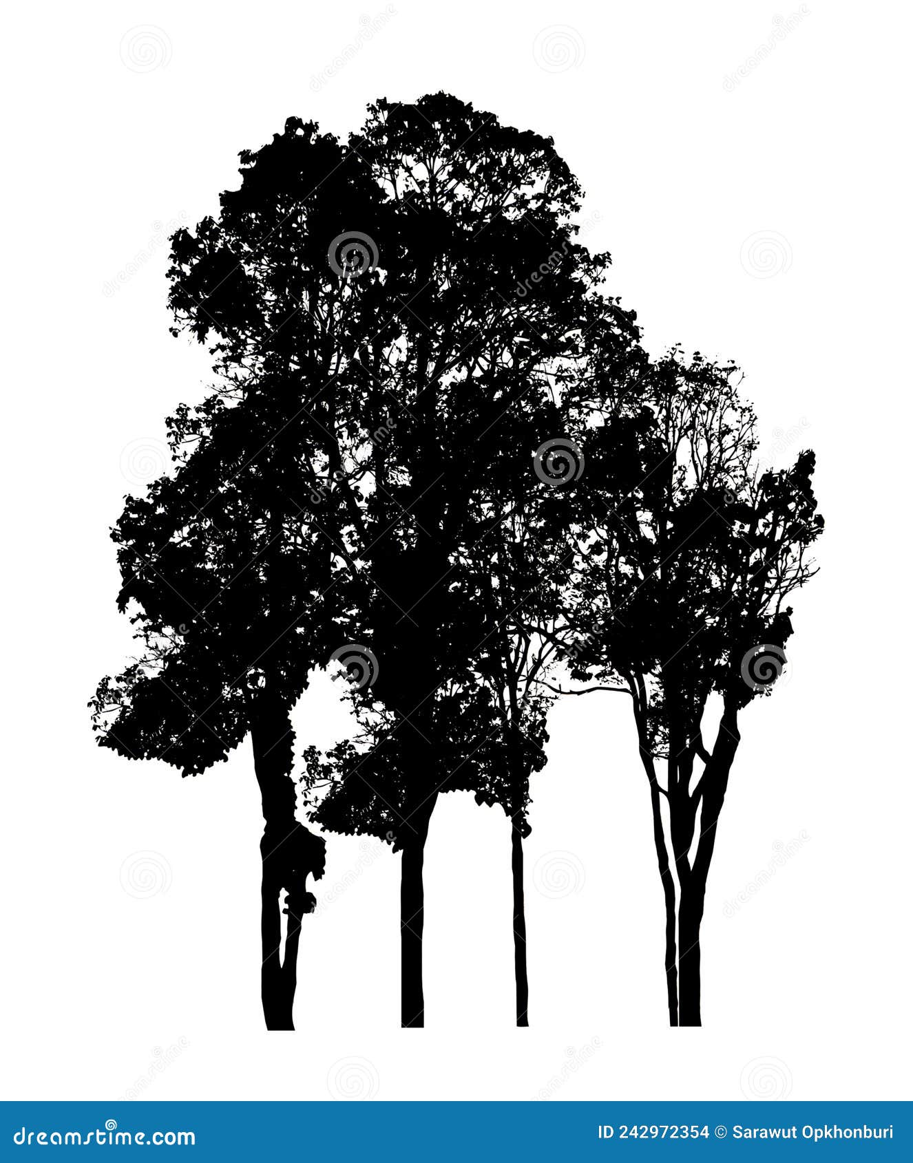 Tree Silhouettes Isolated on White Background . Stock Photo - Image of ...