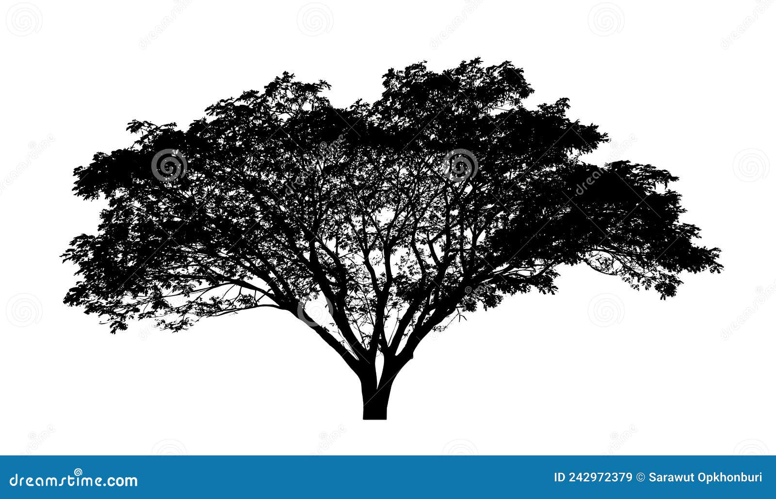 Tree Silhouettes Isolated on White Background . Stock Image - Image of ...
