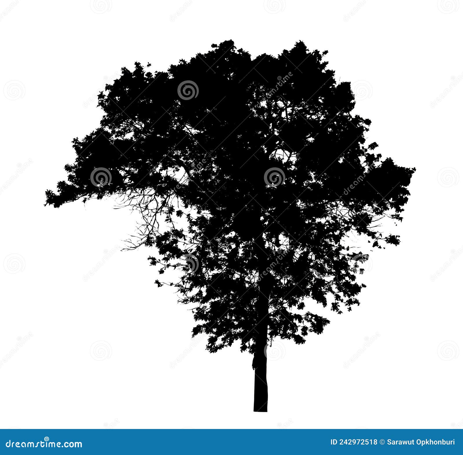Tree Silhouettes Isolated on White Background . Stock Photo - Image of ...
