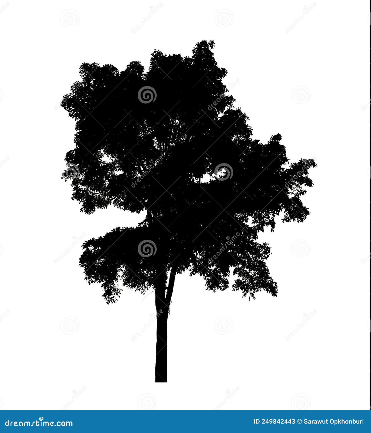 Tree Silhouettes Isolated on White Background . Stock Image - Image of ...