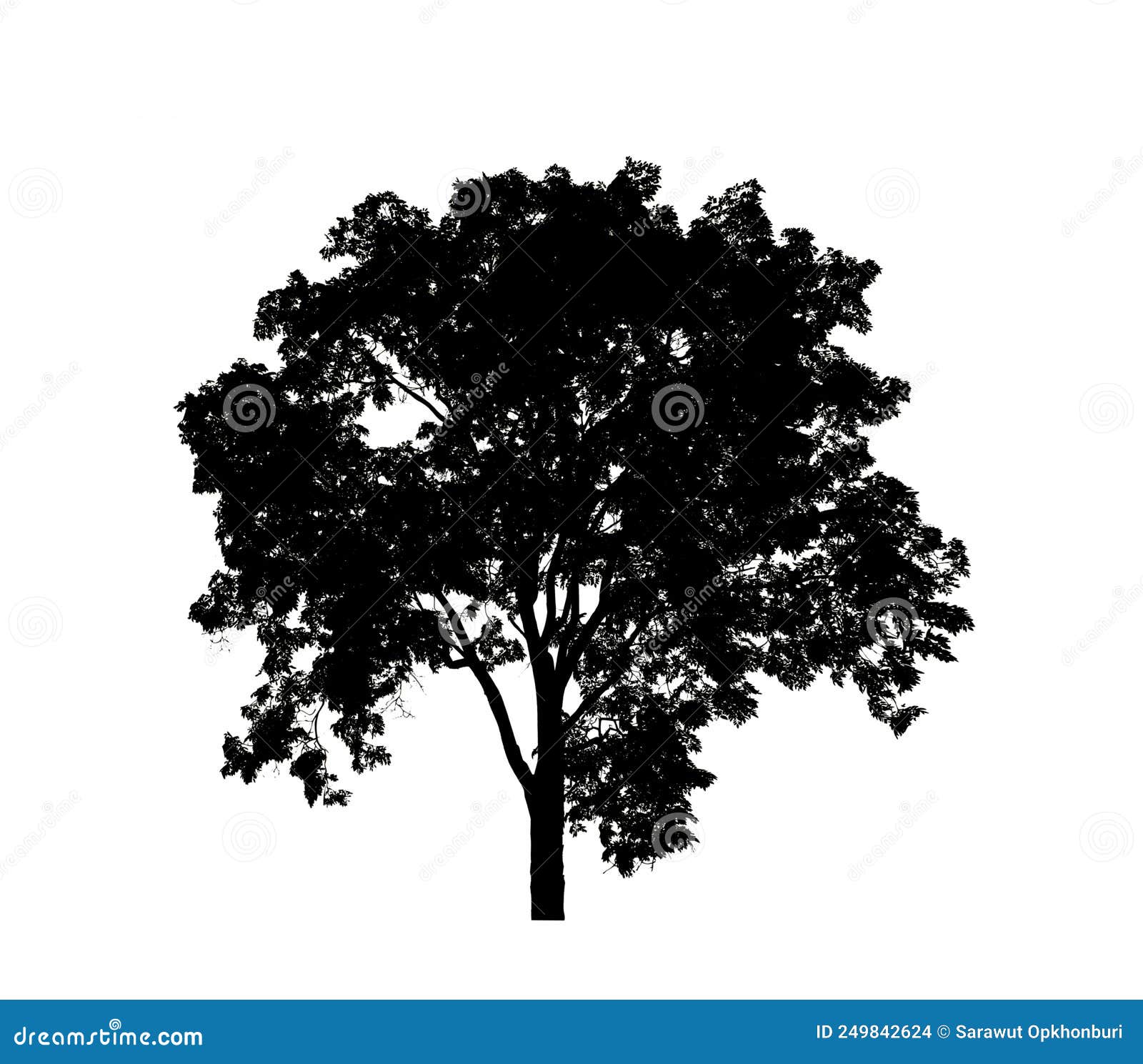 Tree Silhouettes Isolated on White Background . Stock Photo - Image of ...