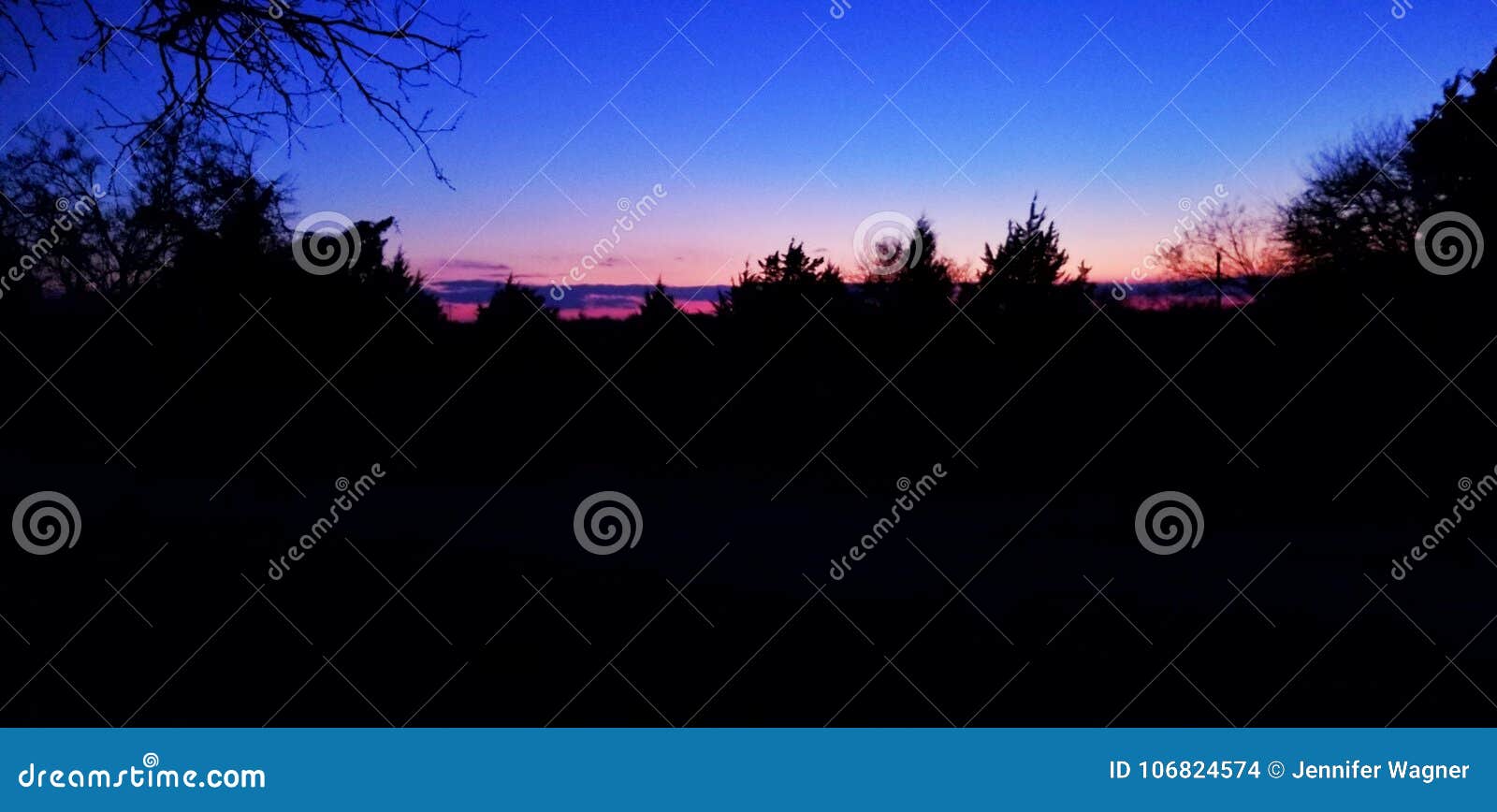 Dusky Silhouette stock photo. Image of tree, dusky, silhouette - 106824574