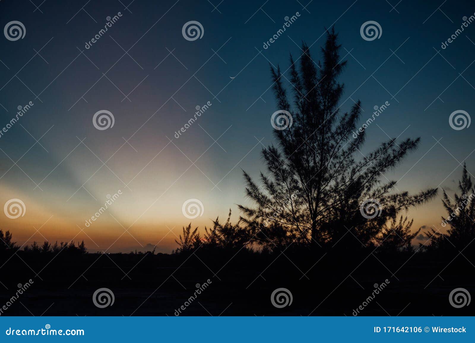 Tree Silhouette in a Field during the Beautiful Sunset in Rio De ...