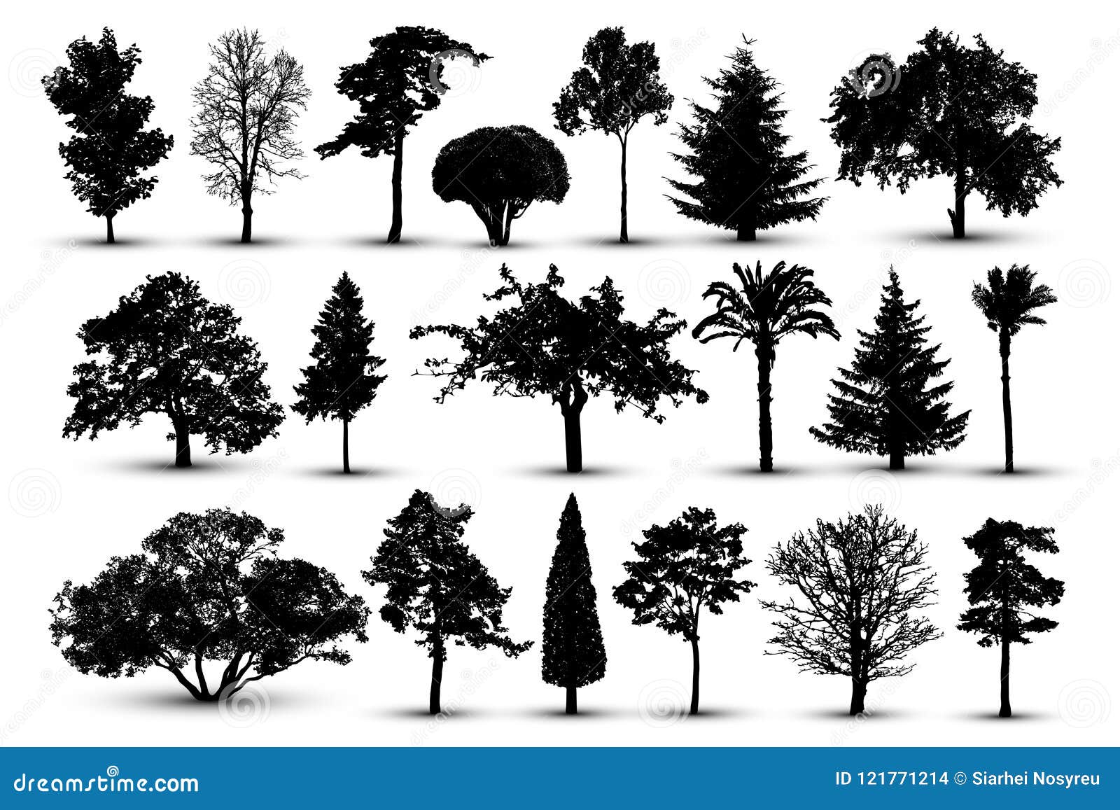 Tree Silhouette, Forest Vector. Nature Park. Isolated Set, Tree on ...