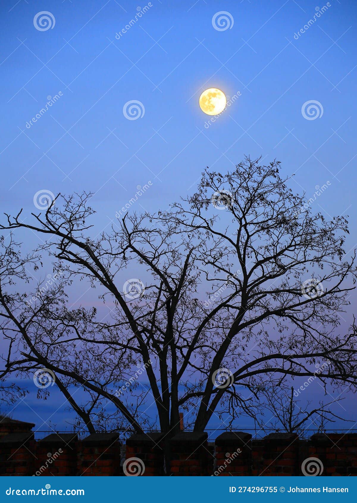 Tree Silhouette and Full Moon Behind a Row of Pinnacles Stock Image ...