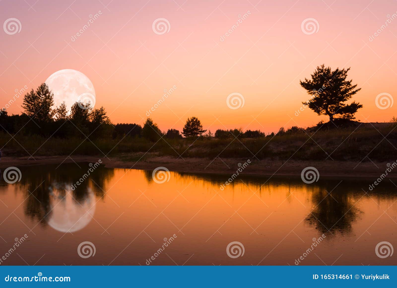 Tree Silhouette and Huge Rising Moon Reflected in a Water Stock Image ...