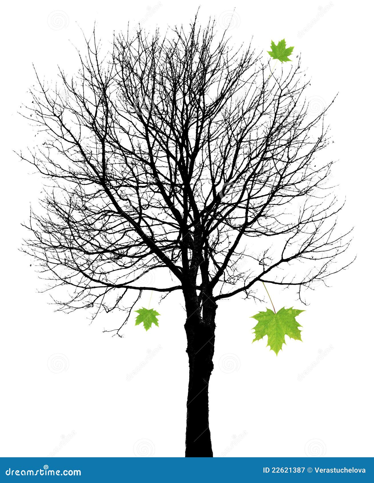 Tree Silhouette with Leaves Stock Illustration - Illustration of forest ...