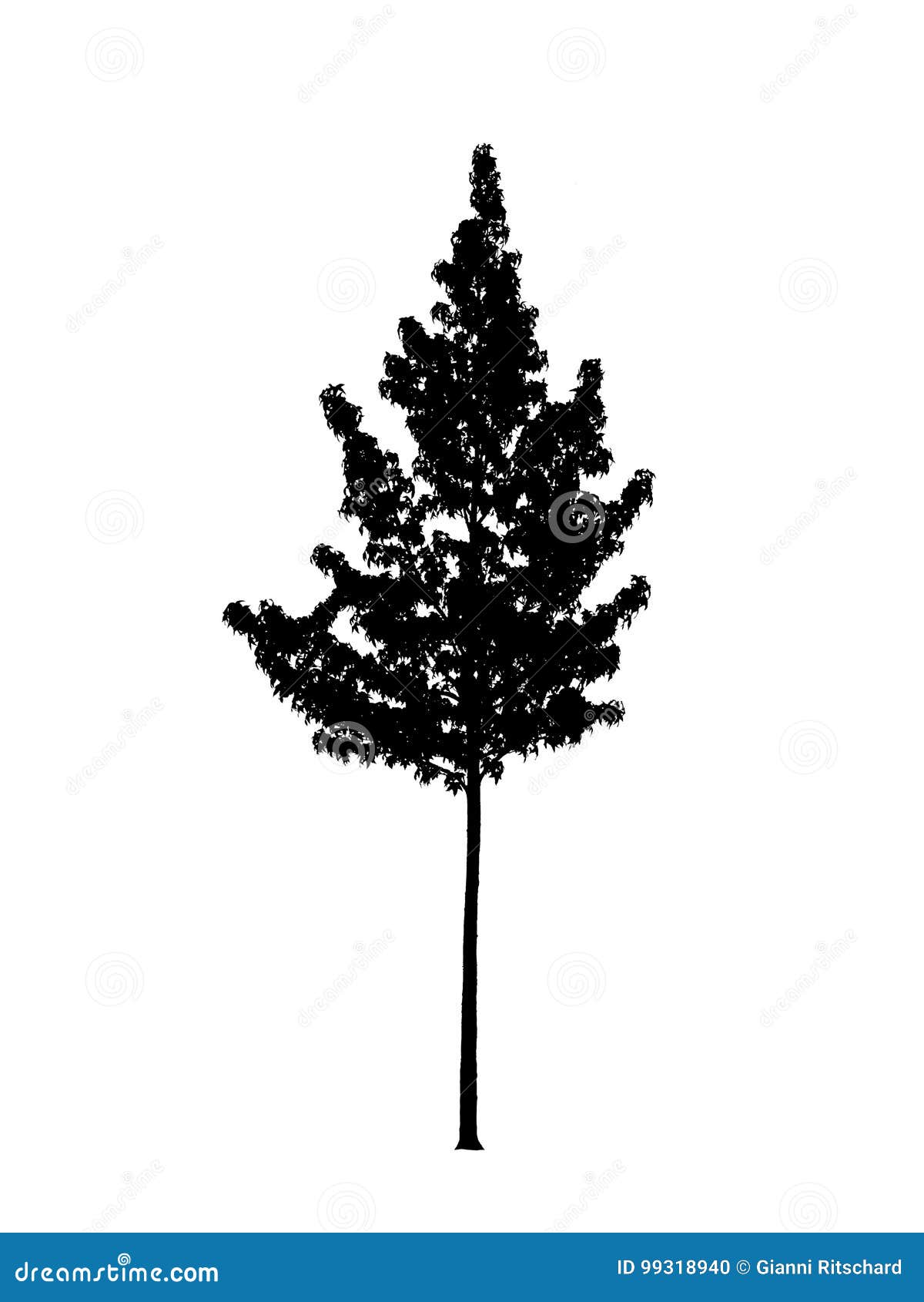 Tree Silhouette stock photo. Image of cutout, monochrome - 99318940