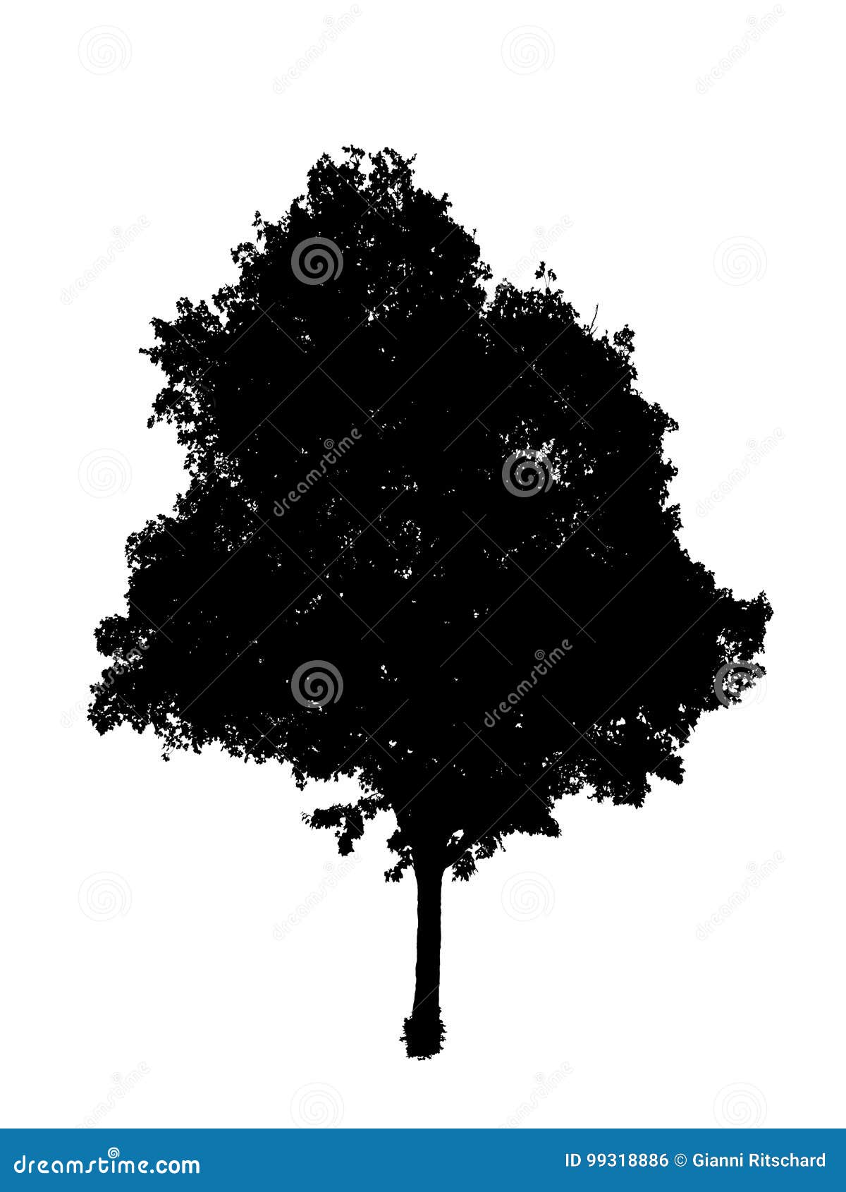 Tree Silhouette stock photo. Image of leaf, logo, isolated - 99318886