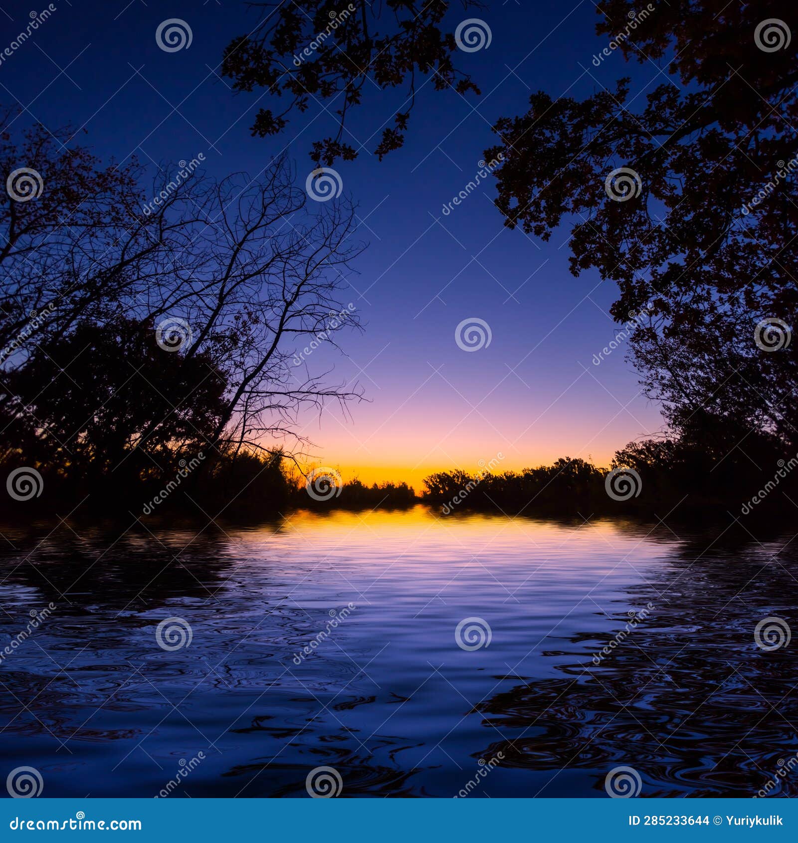 Tree Silhouette Reflected in Water after Sunset Stock Photo - Image of ...