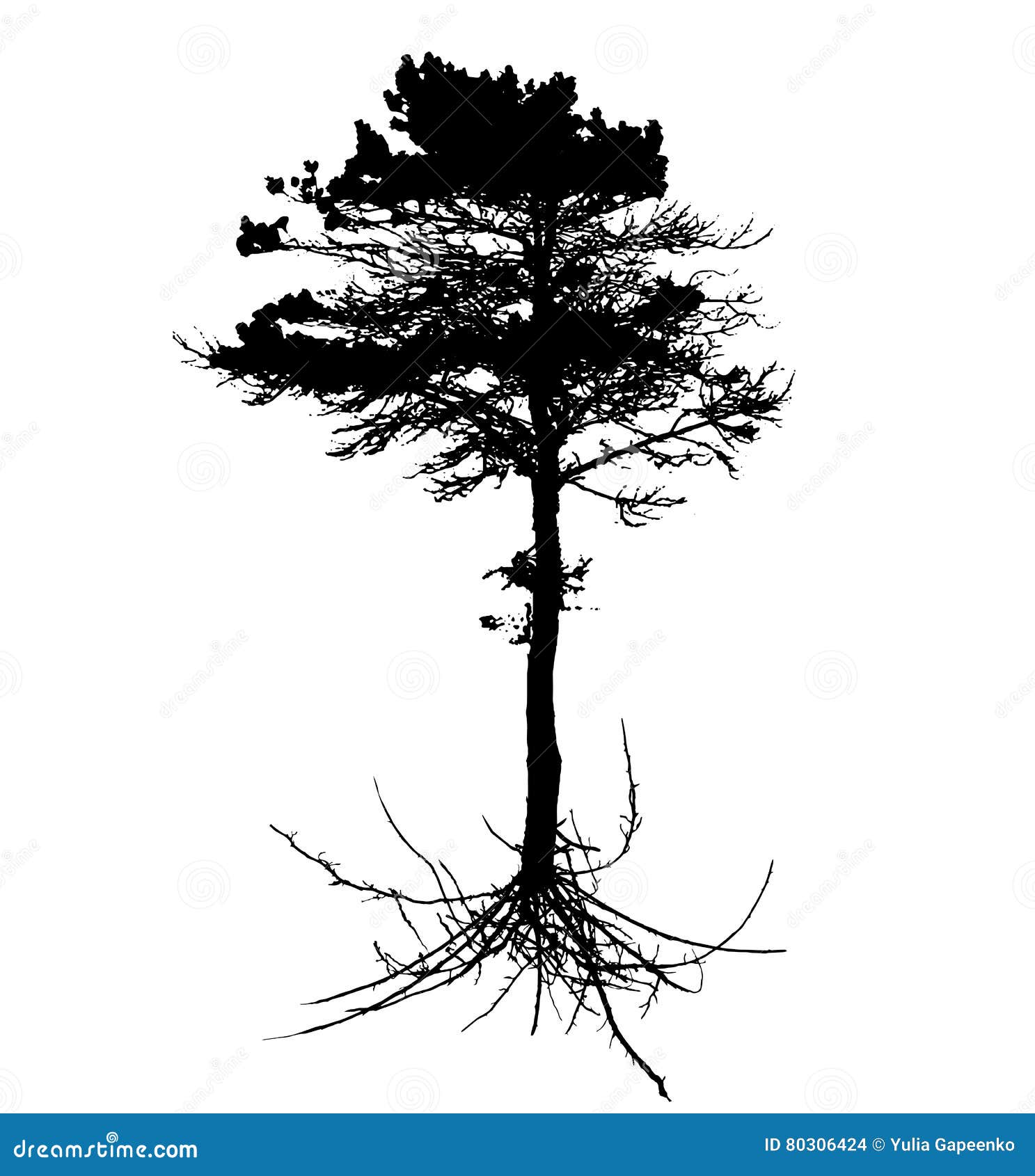 Tree Silhouette with Root System Isolated on White Background. V Stock ... Tree Silhouette with Root System Isolated on White Background. V Stock ...