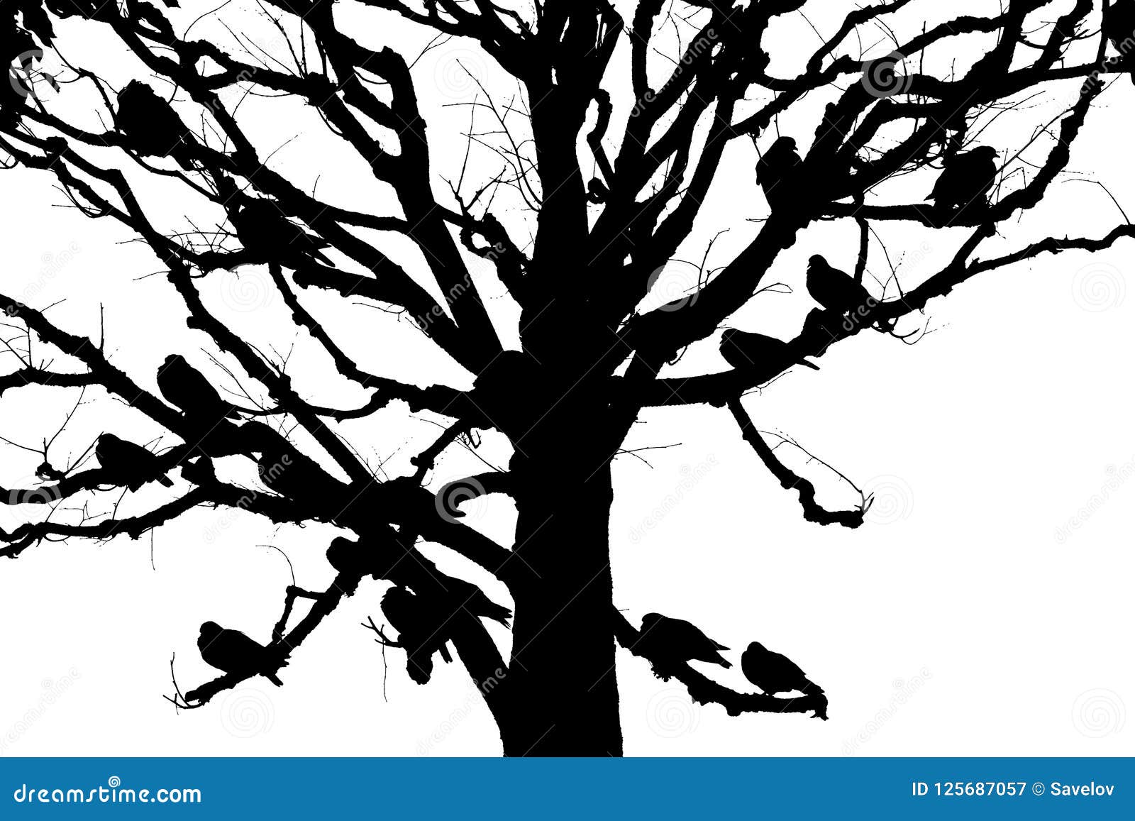 Tree silhouette with birds stock image. Image of bird - 125687057