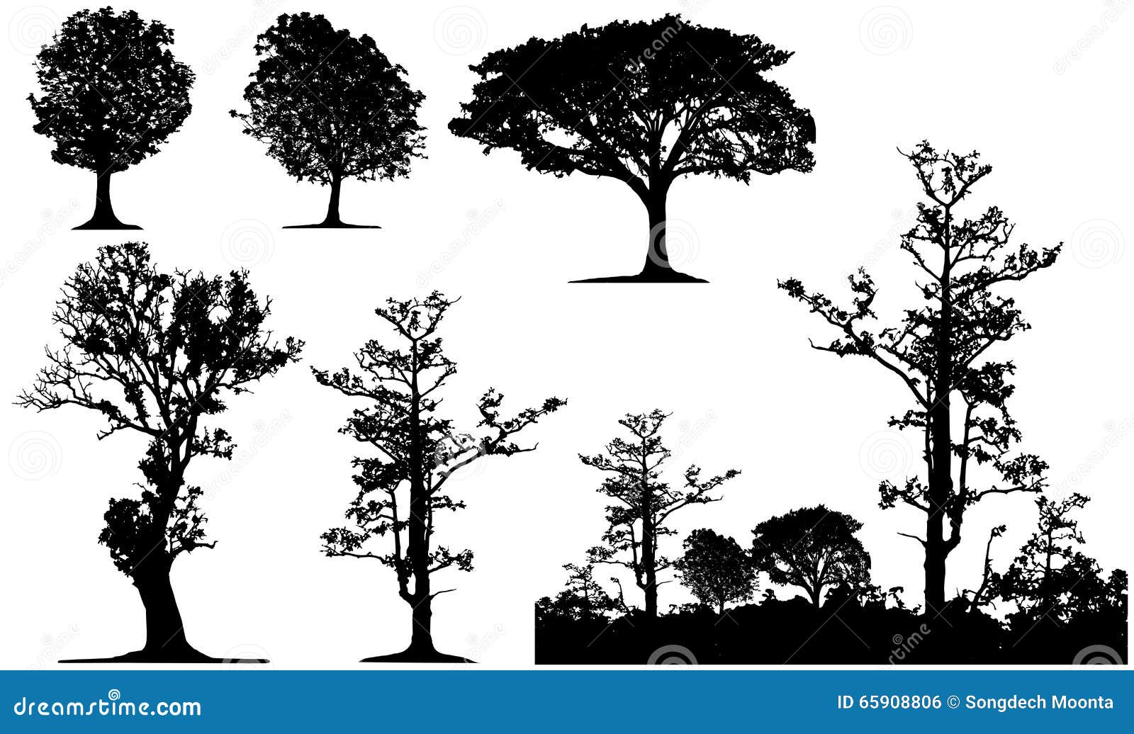 Tree silhouette stock vector. Illustration of jungle - 65908806