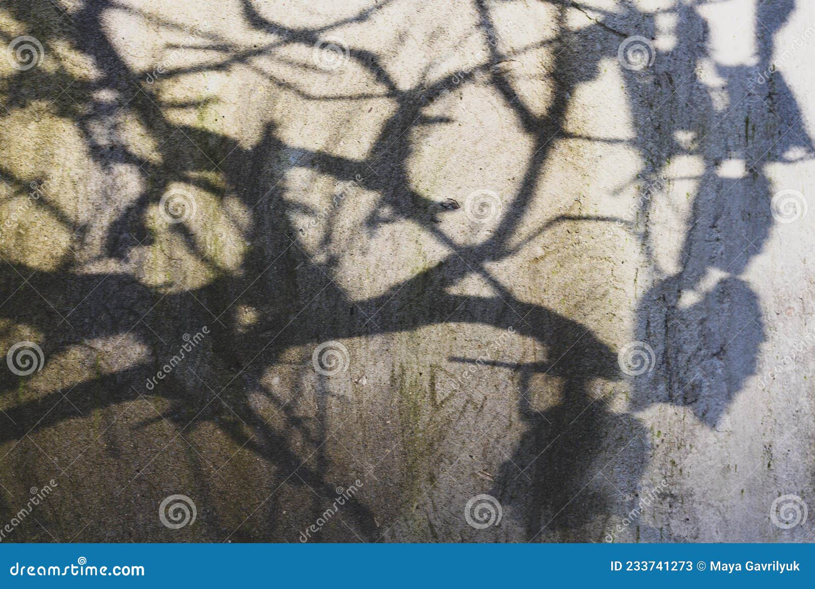 Tree Silhouette Shadows Background Stock Image - Image of concept ...