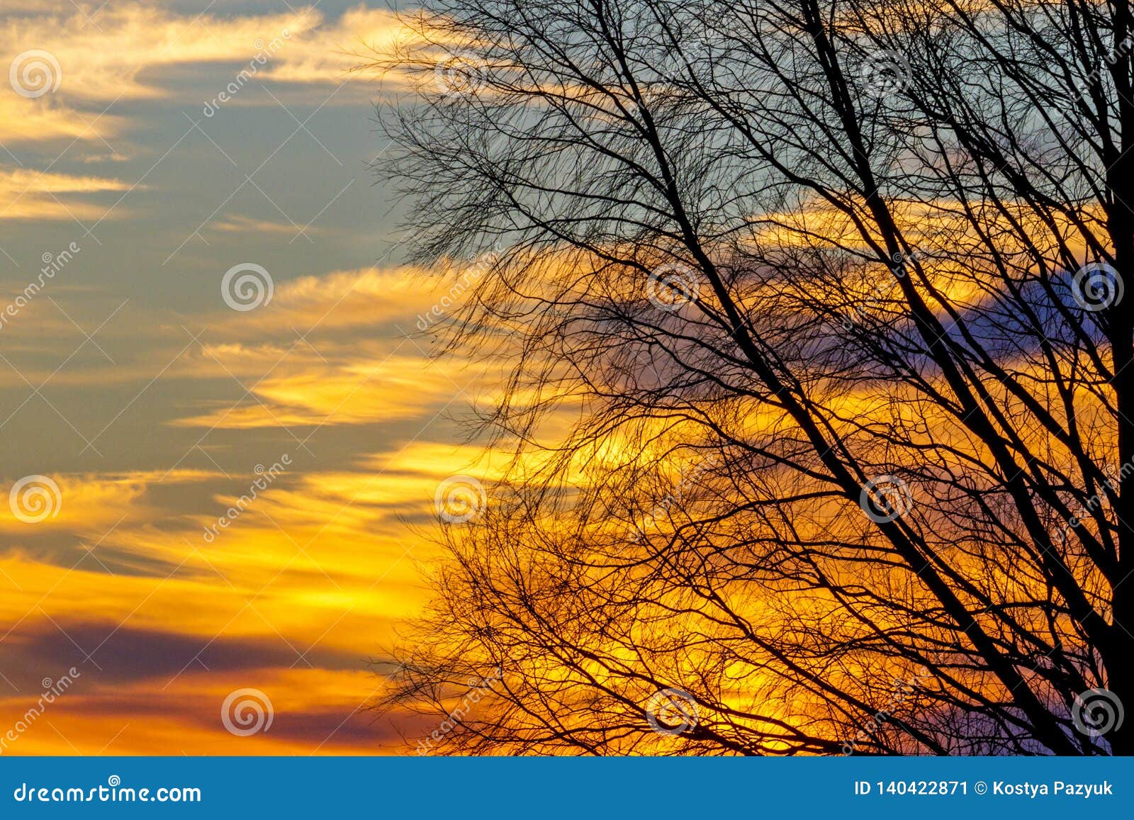 Tree Silhouette and Spring Sunset Sky Stock Image - Image of light ...
