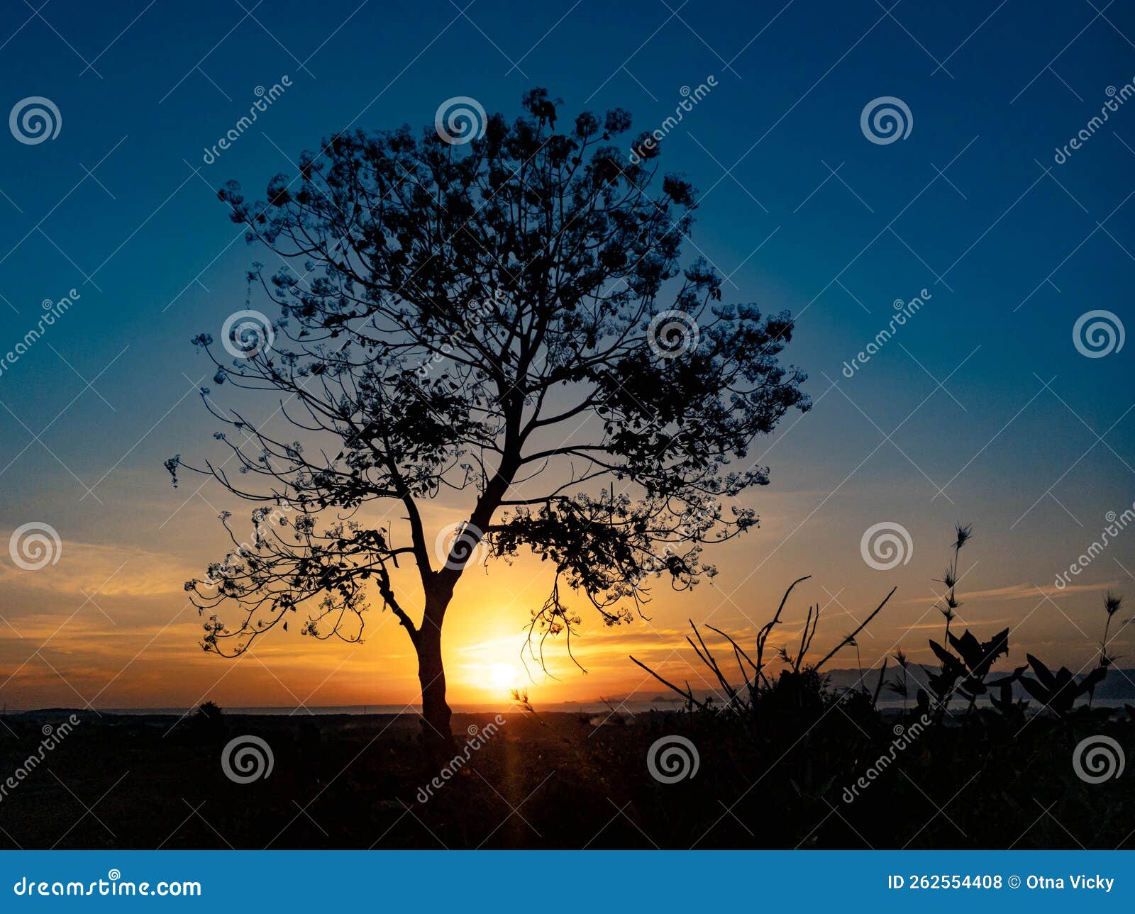 Tree Silhouette with Sunrise in the Morning Stock Photo - Image of ...