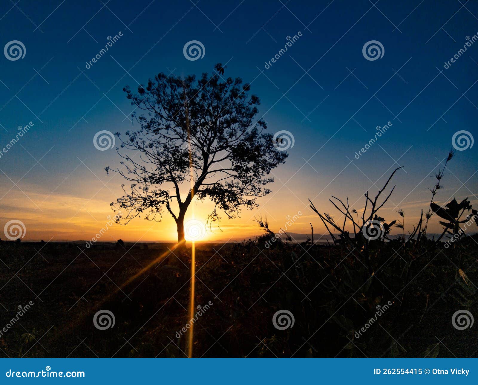 Tree Silhouette with Sunrise in the Morning Stock Image - Image of ...