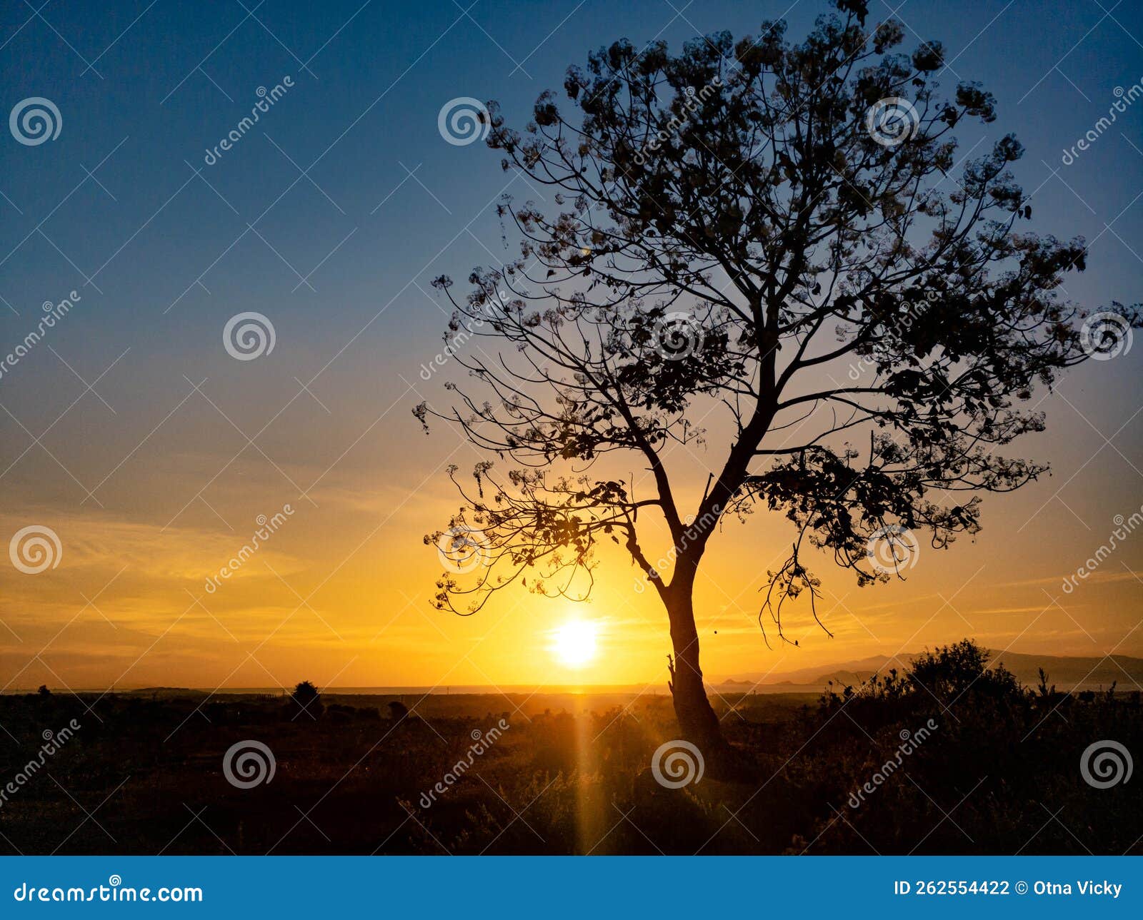 Tree Silhouette with Sunrise in the Morning Stock Photo - Image of ...