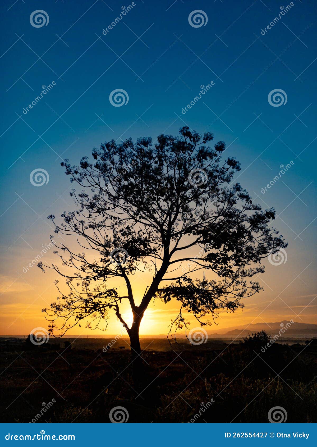 Tree Silhouette with Sunrise in the Morning Stock Image - Image of palm ...