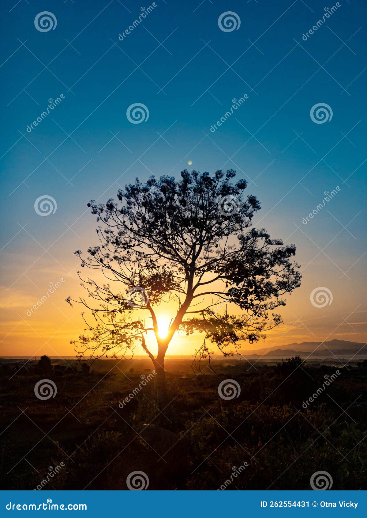 Tree Silhouette with Sunrise in the Morning Stock Image - Image of asia ...