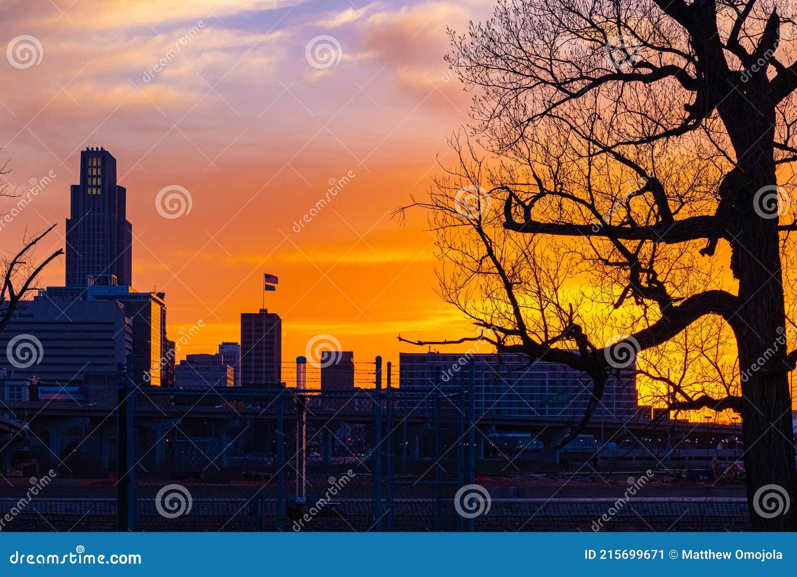 Tree Silhouette at Sunset with Backdrop of Downtown Omaha Nebraska ...