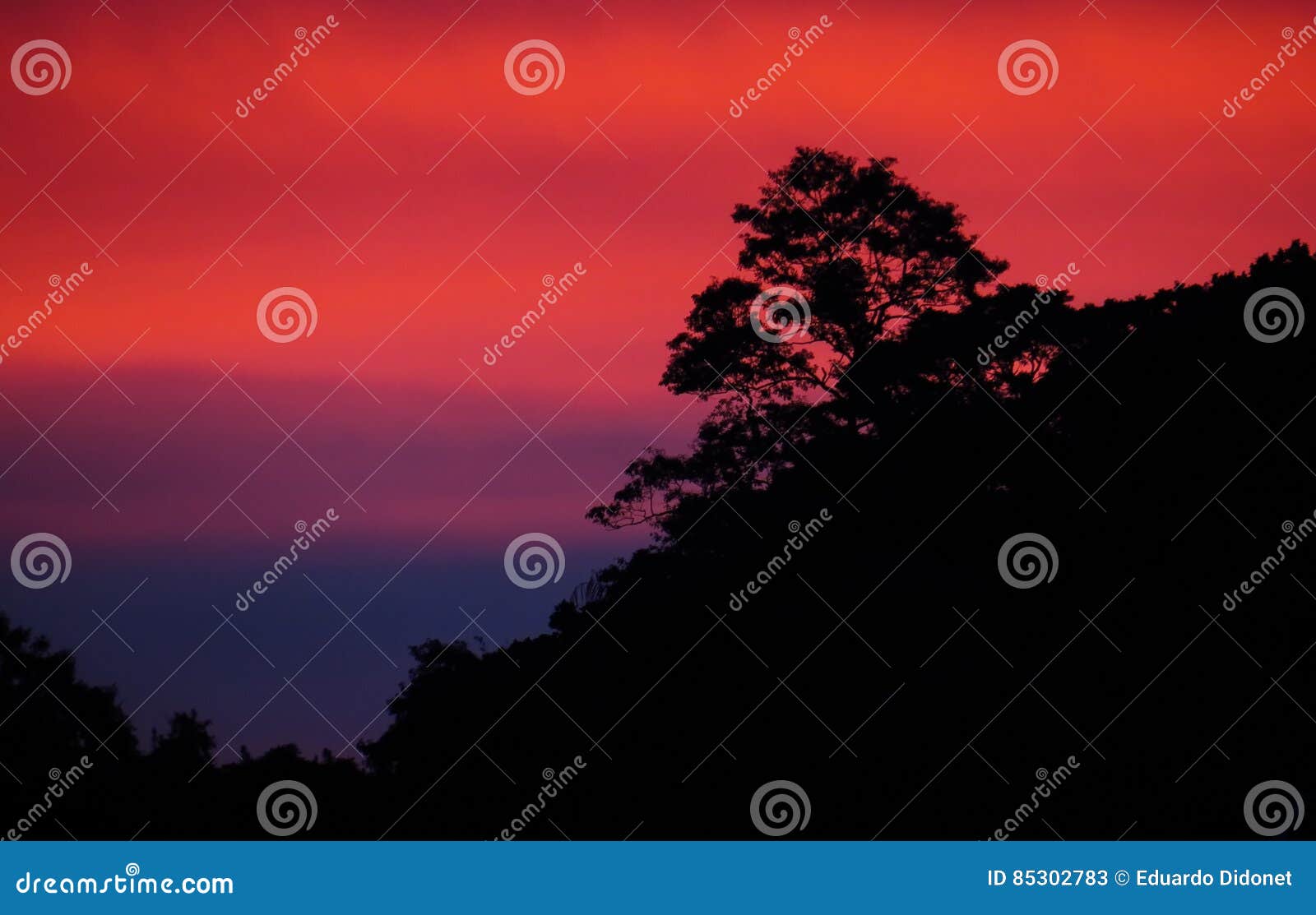 Tree Silhouette With A Sunset Sky In The Background Royalty-Free Stock ...