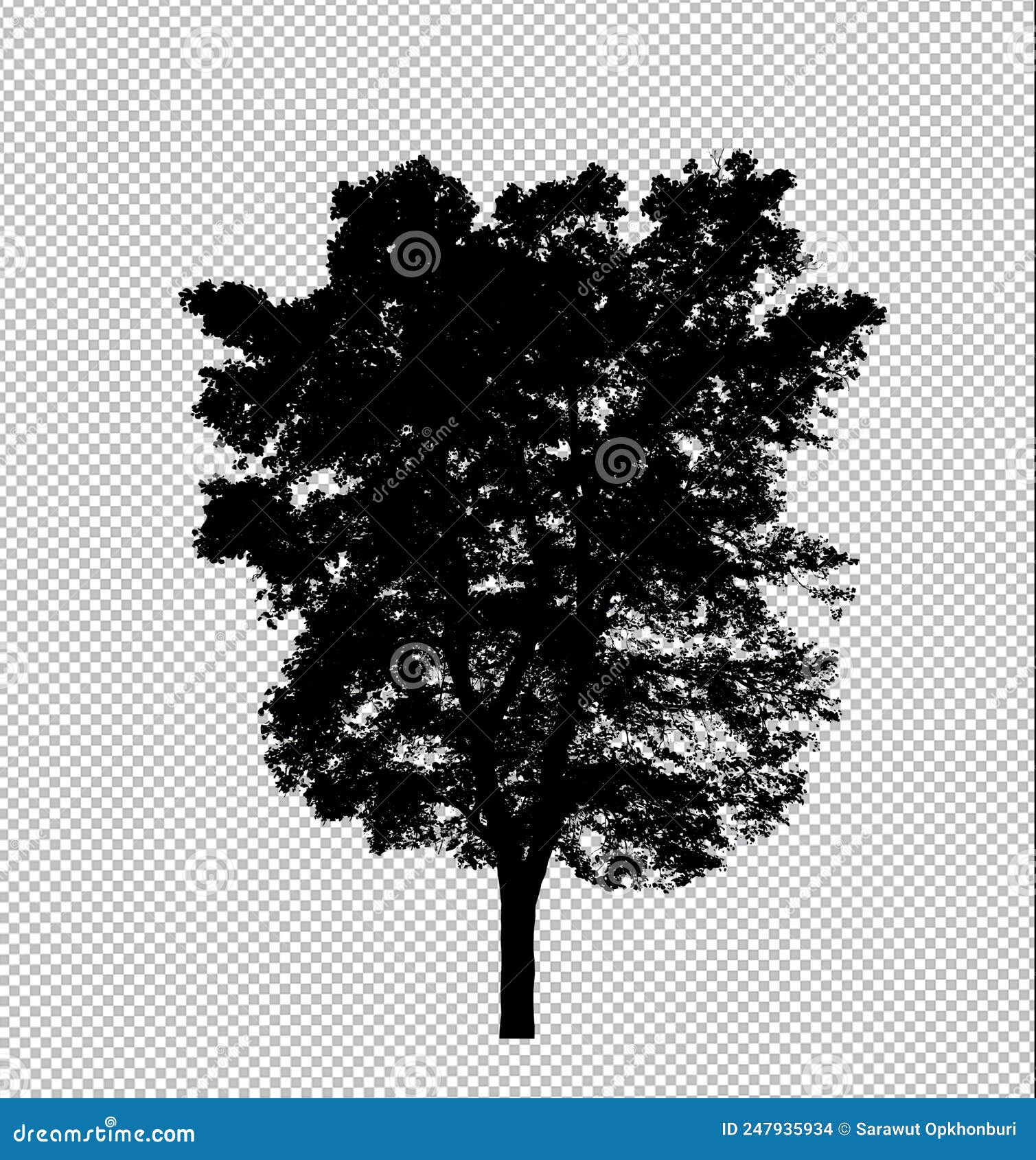Tree Silhouette on Transparent Background with Clipping Path and Alpha ...