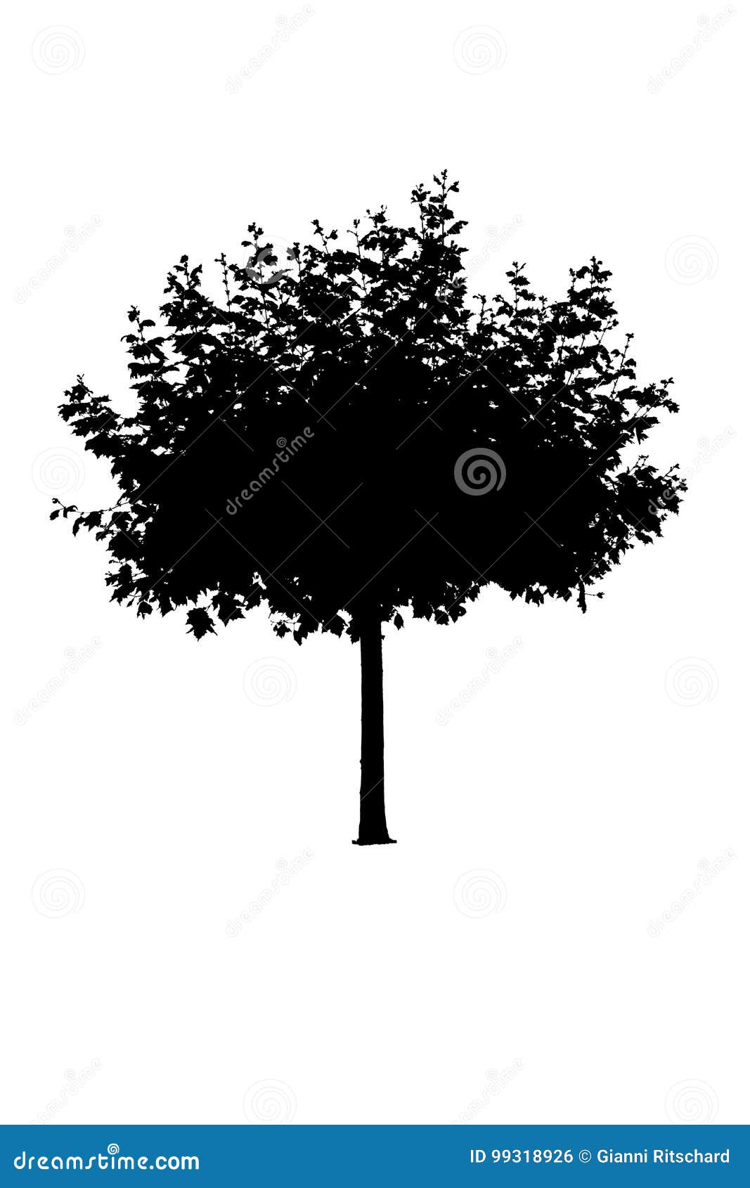 Tree Silhouette stock photo. Image of plant, branch, black - 99318926