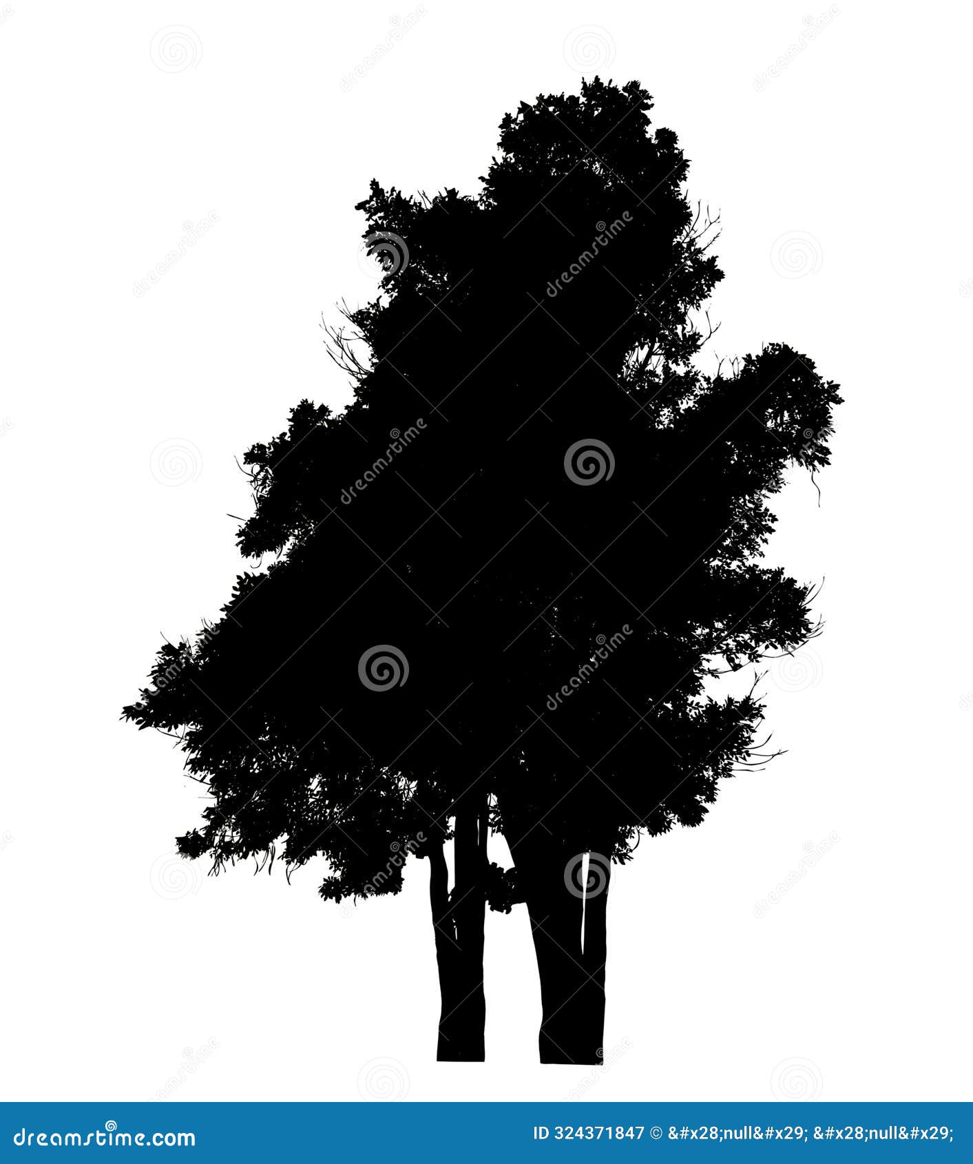 Tree Silhouette on White Background with Clipping Path and Alpha ...